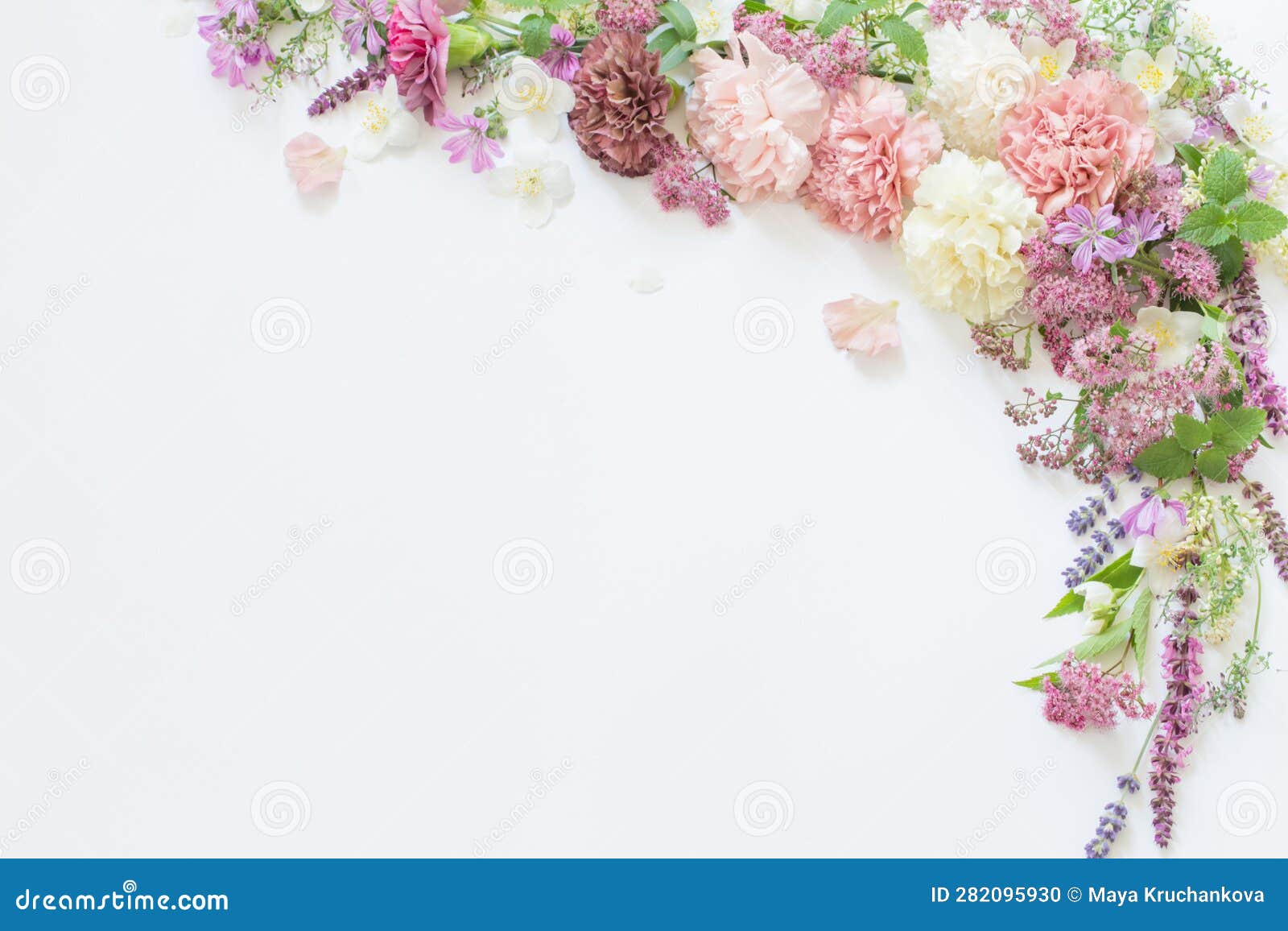 Beautiful Summer Flowers on White Background Stock Photo - Image of ...