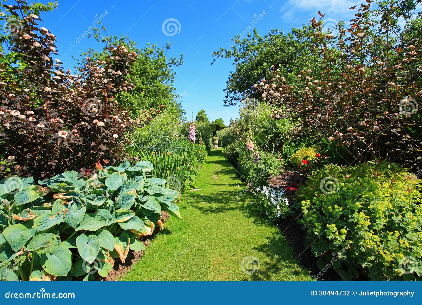 Beautiful summer garden stock photo. Image of agriculture - 30494732