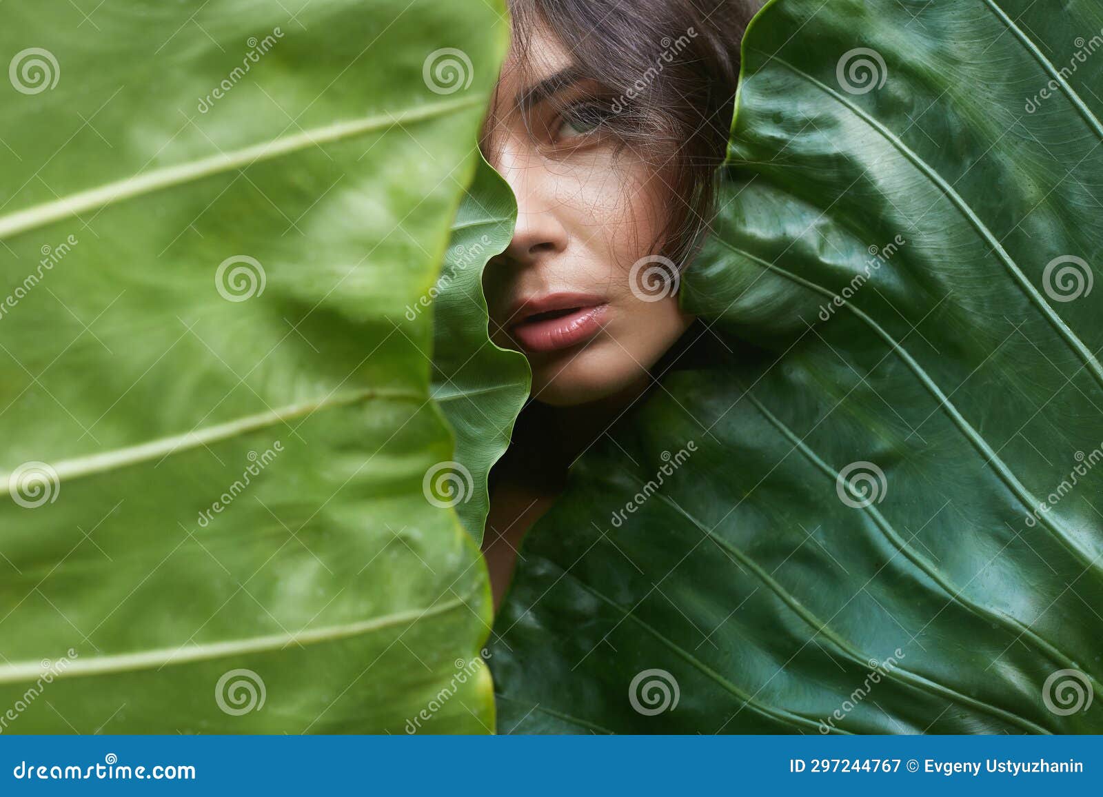 Beautiful Summer Girl Behind Palm Leaves Young Woman In Bikini Under