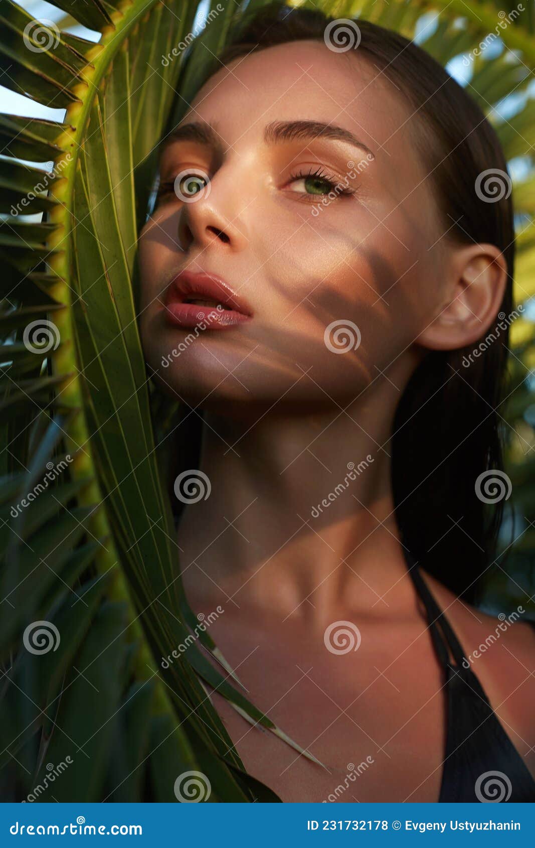 Beautiful Summer Girl In Sunset Young Woman In Bikini Under Palm Tree