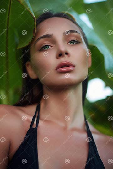 Beautiful Summer Girl Young Woman In Bikini Under Palm Tree Stock