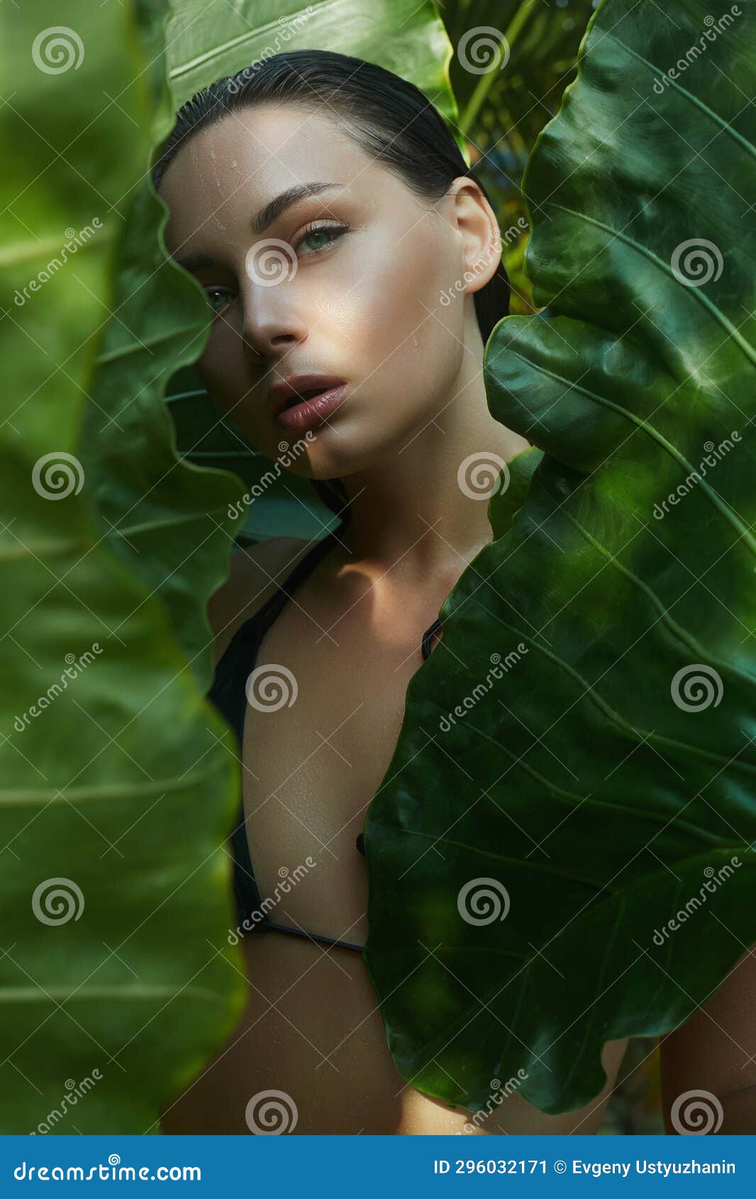 Beautiful Summer Girl Young Woman In Bikini Under Palm Tree Stock