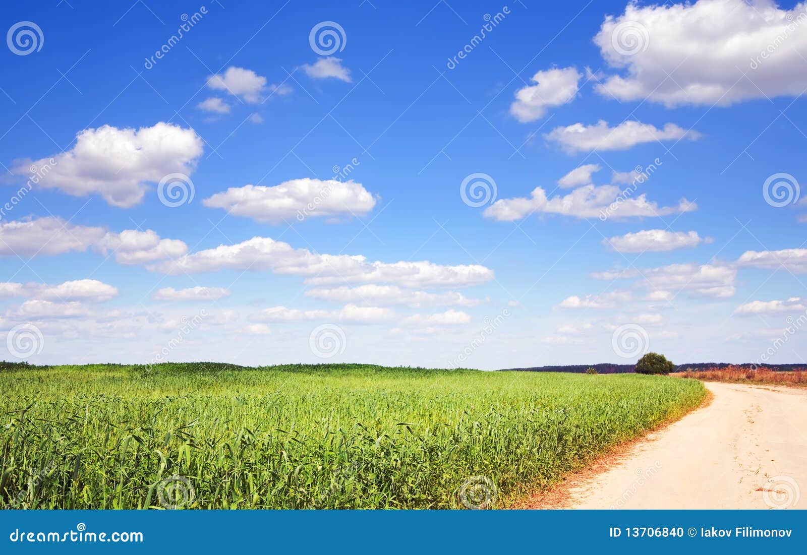Beautiful summer landscape stock photo. Image of background - 13706840