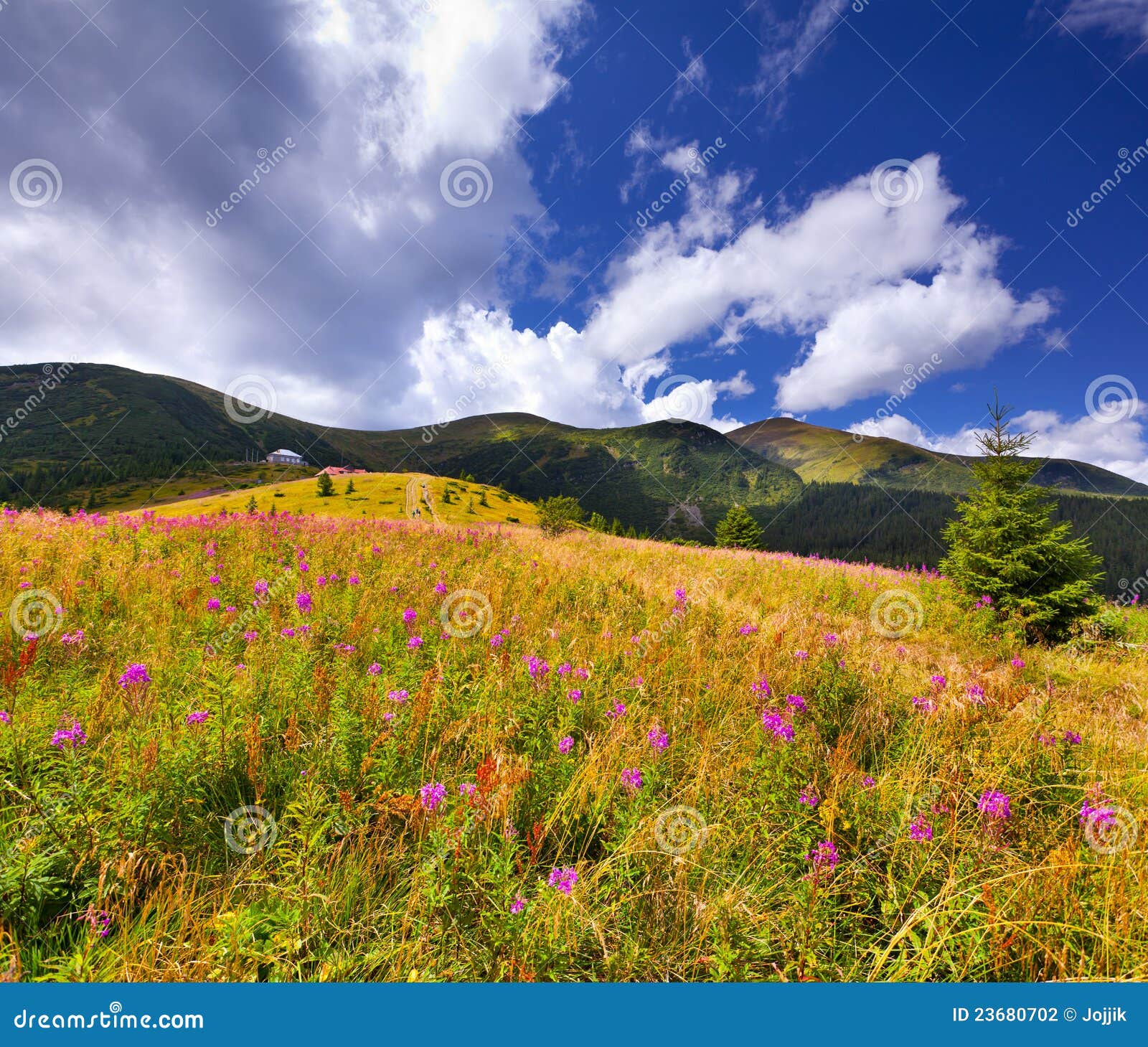 Beautiful summer landscape stock photo. Image of clear - 23680702