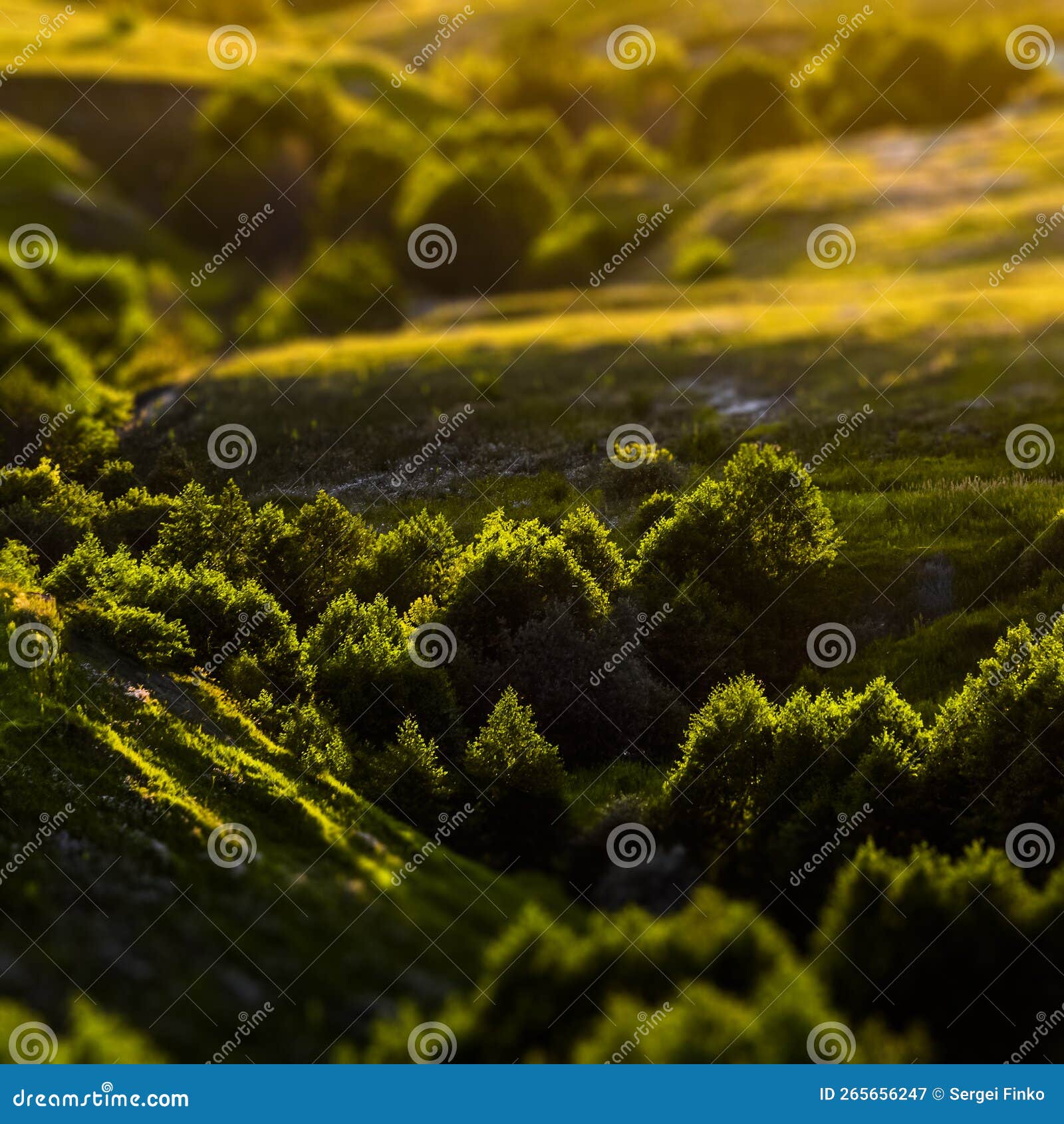 Beautiful summer landscape stock image. Image of lawn - 265656247
