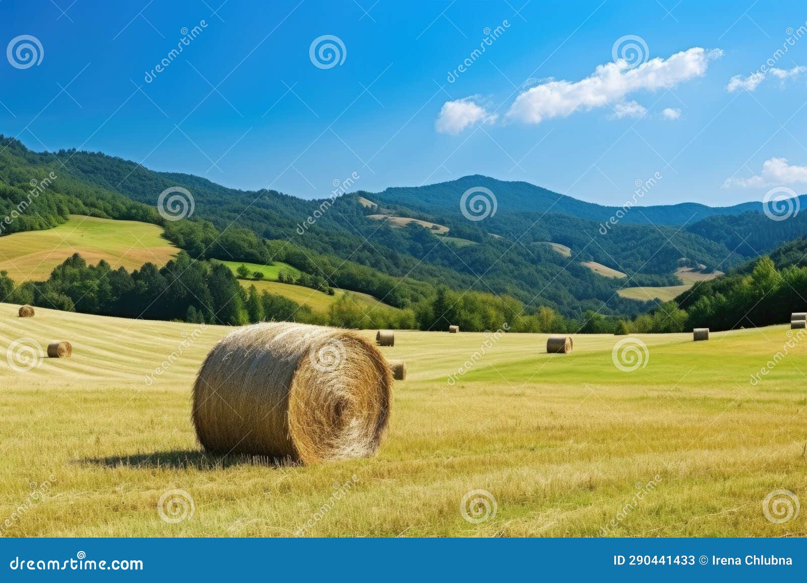 Beautiful Summer Landscape with Haystacks Stock Illustration - Illustration of grain, england ...