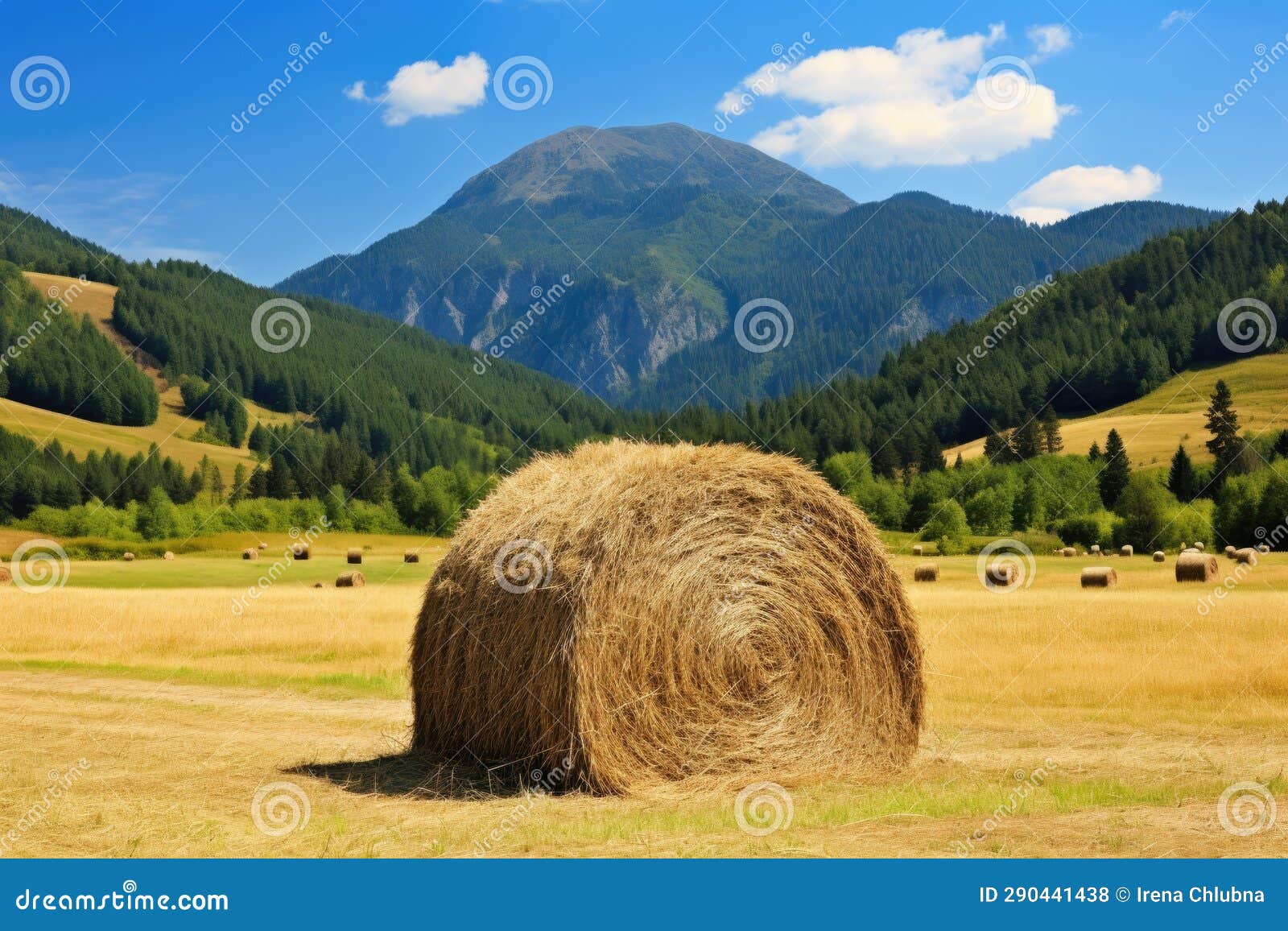 Beautiful Summer Landscape with Haystacks Stock Photo - Image of grain ...