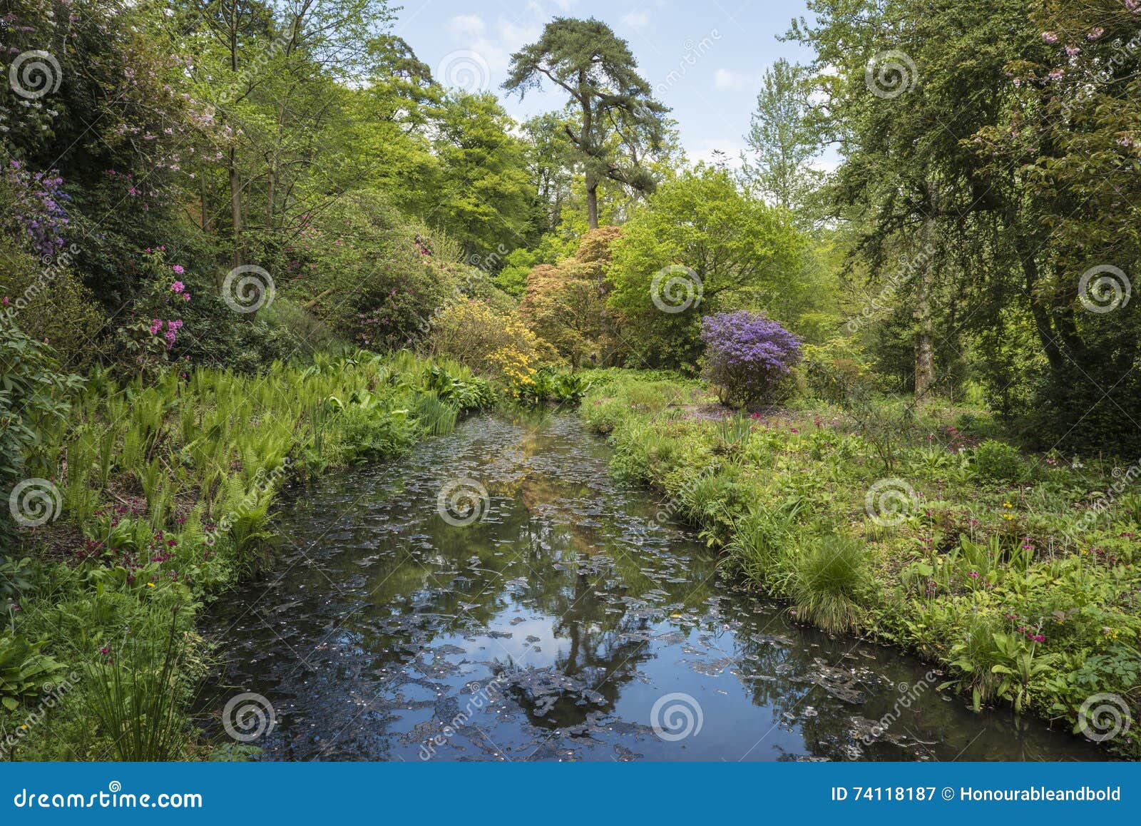 Beautiful Summer Landscape Image of Calm Pond with Reflections O Stock ...