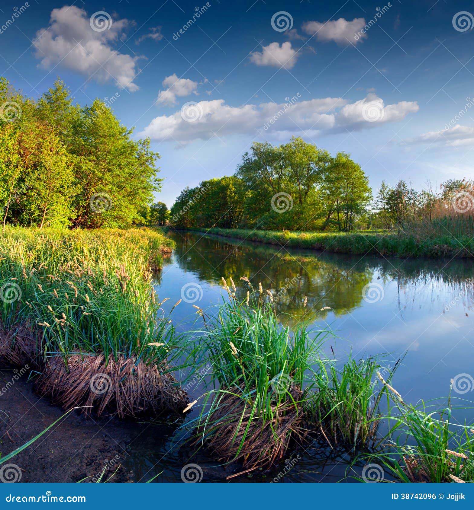 Beautiful Summer Landscape on River Stock Photo - Image of lake ...