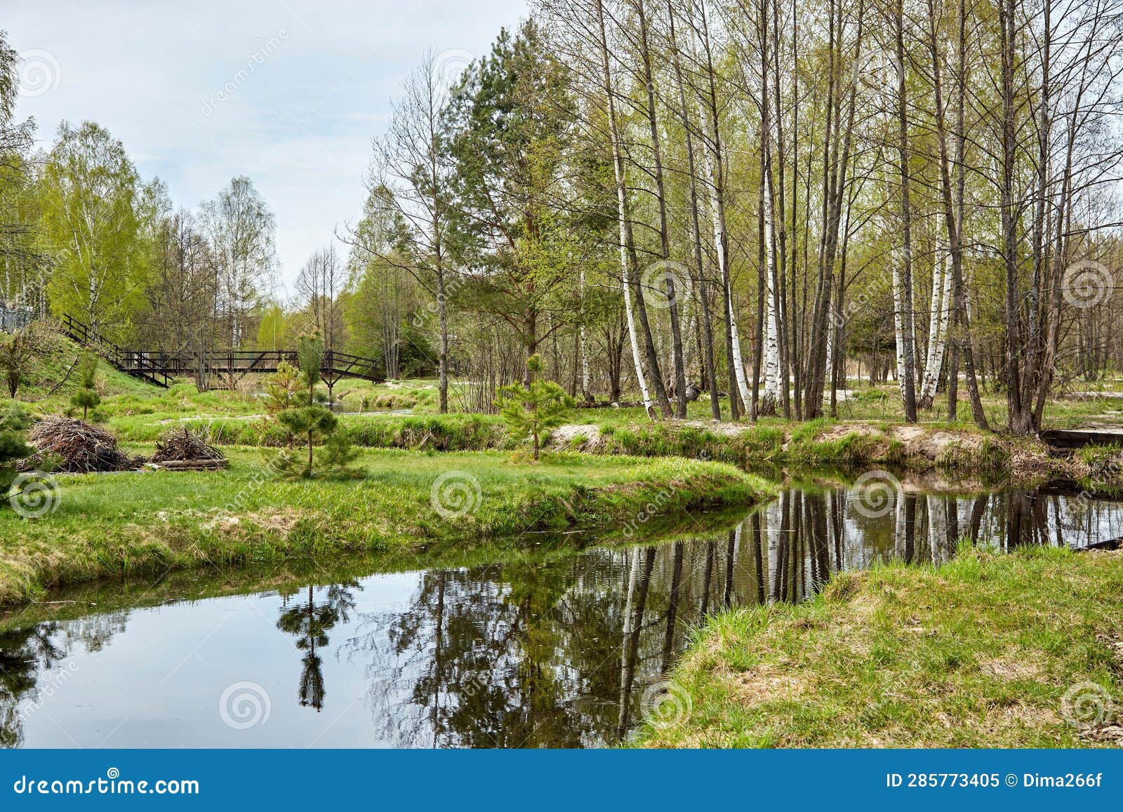 Beautiful Summer Landscape of River with Reflection in the Water Stock ...