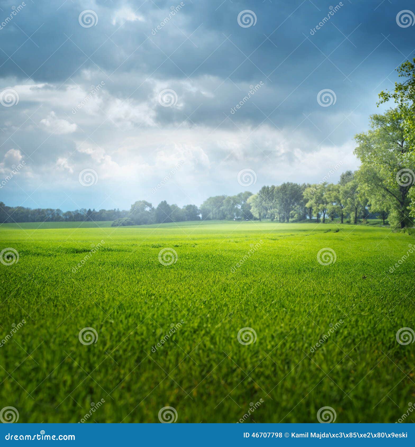 Beautiful Summer Landscape of the Rular Area Stock Photo - Image of ...