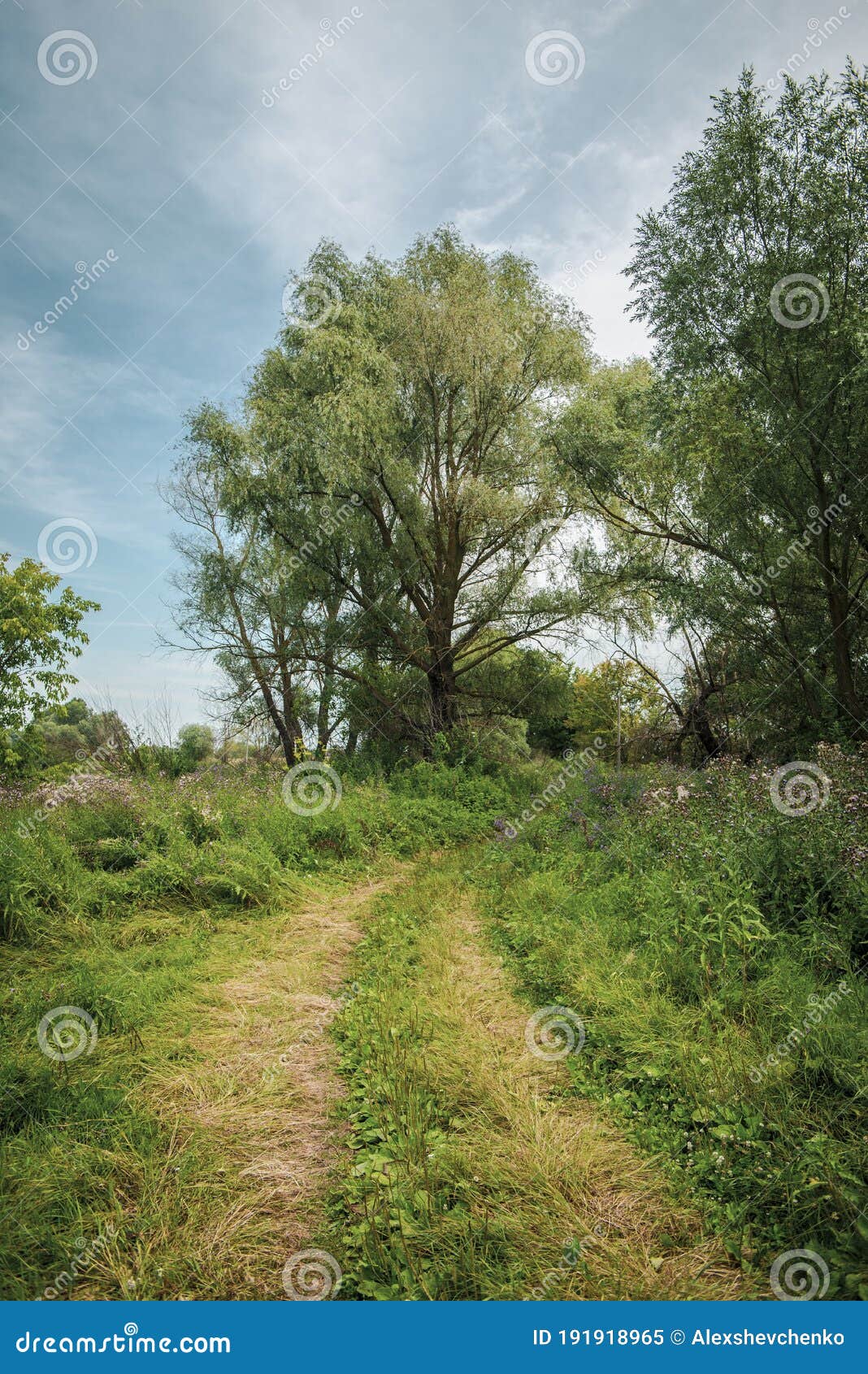 Beautiful Summer Landscape, Rural July Scenery Stock Image - Image of ...