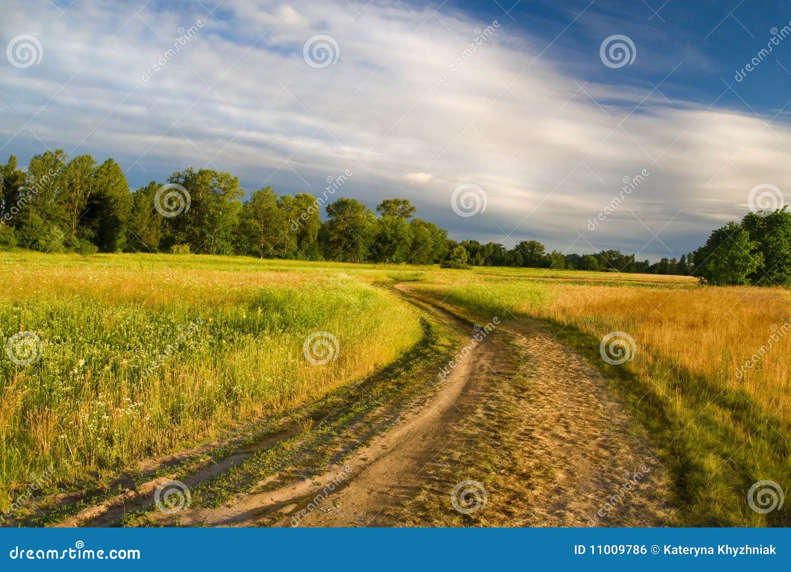 Beautiful Summer Meadow and Earth Road Stock Photo - Image of panorama ...