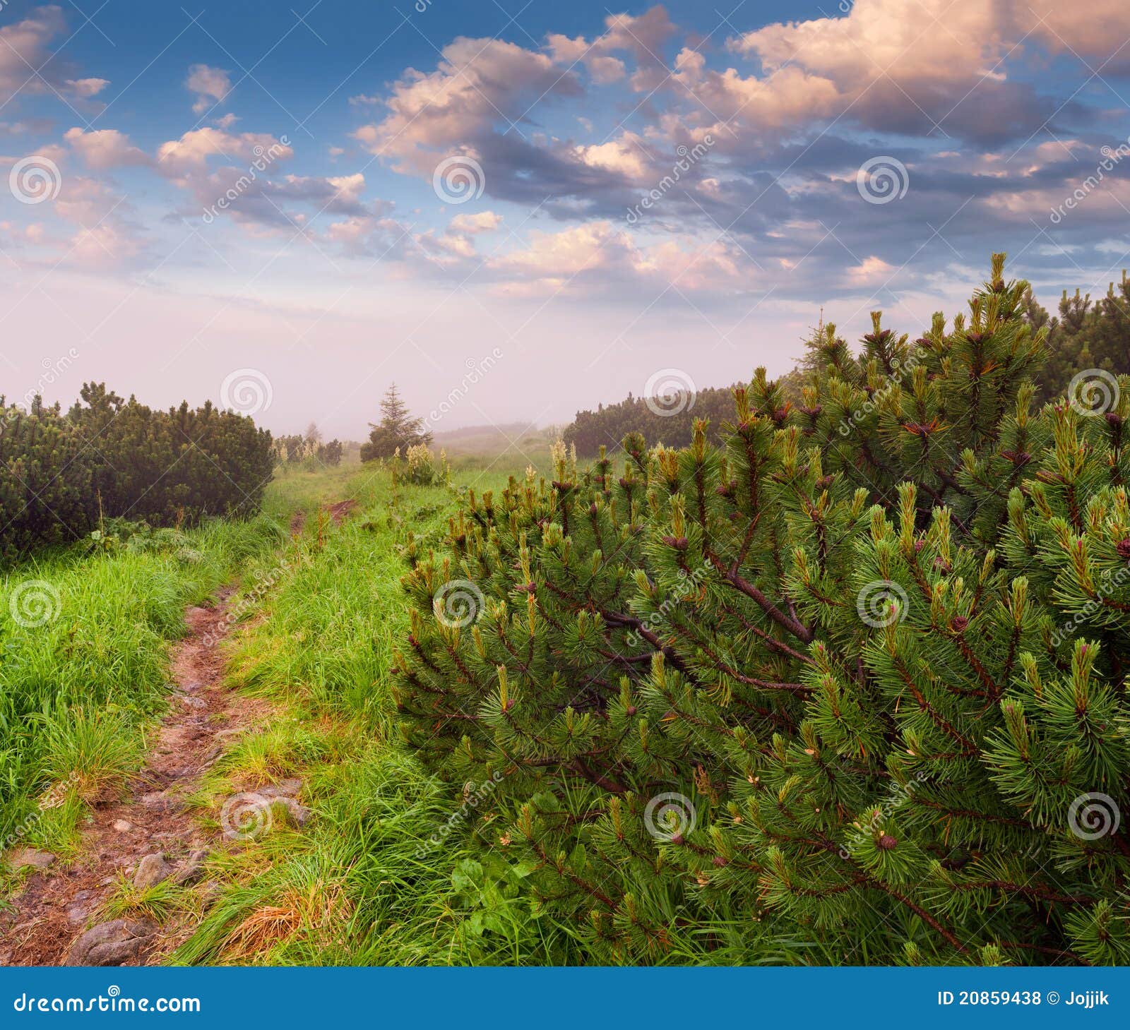 Beautiful summer morning stock photo. Image of highland - 20859438
