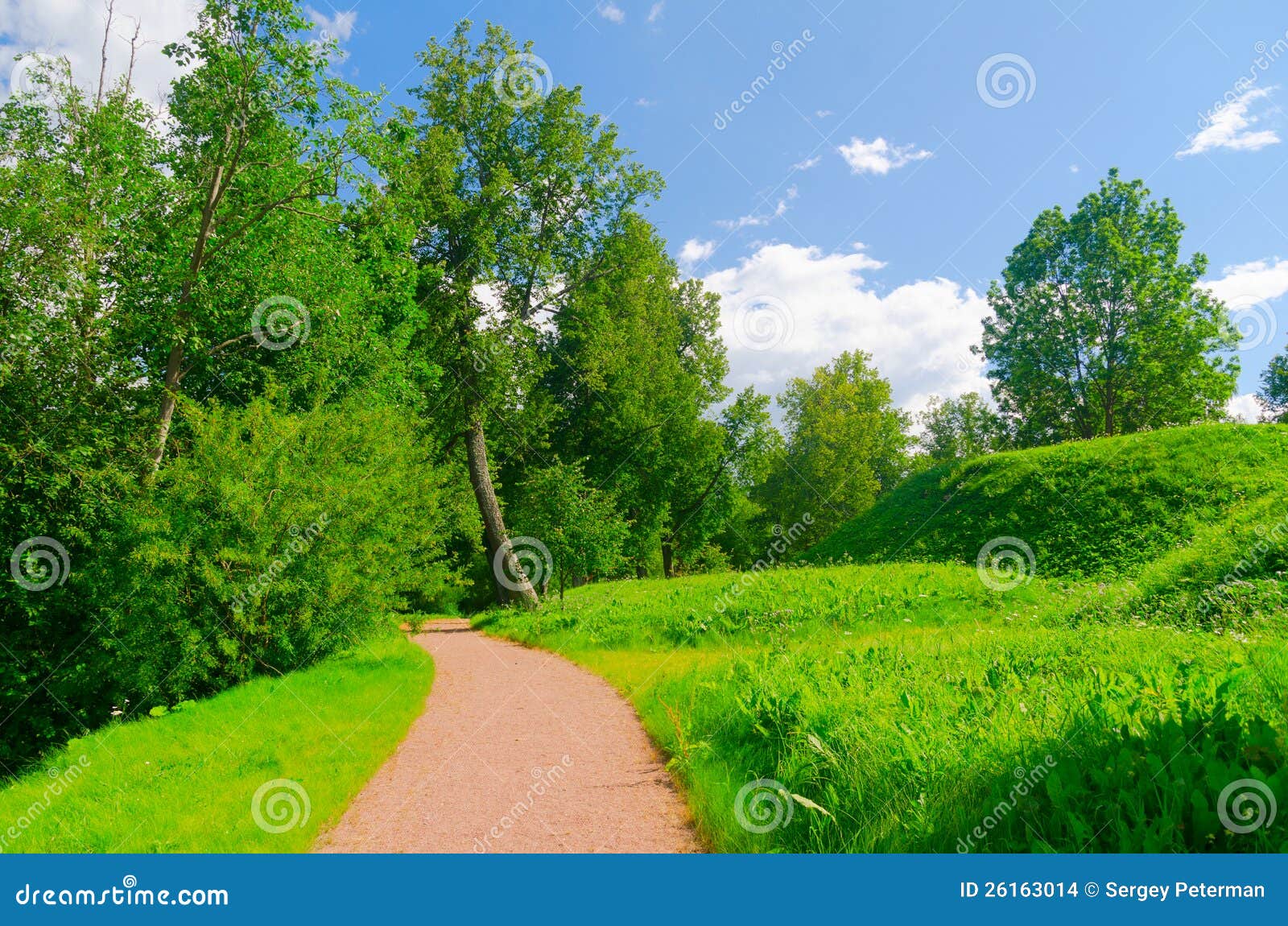 Beautiful summer park stock photo. Image of brown, blue - 26163014