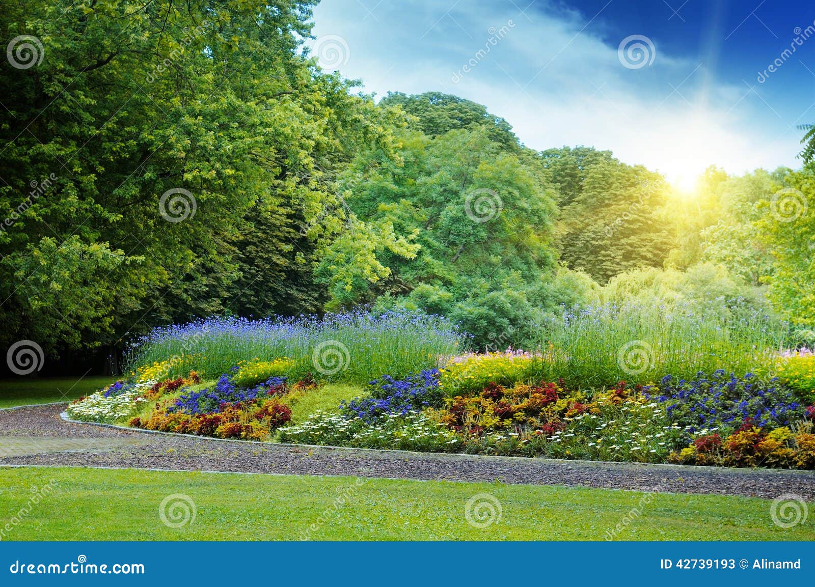 Beautiful summer park stock image. Image of lawn, gardening - 42739193