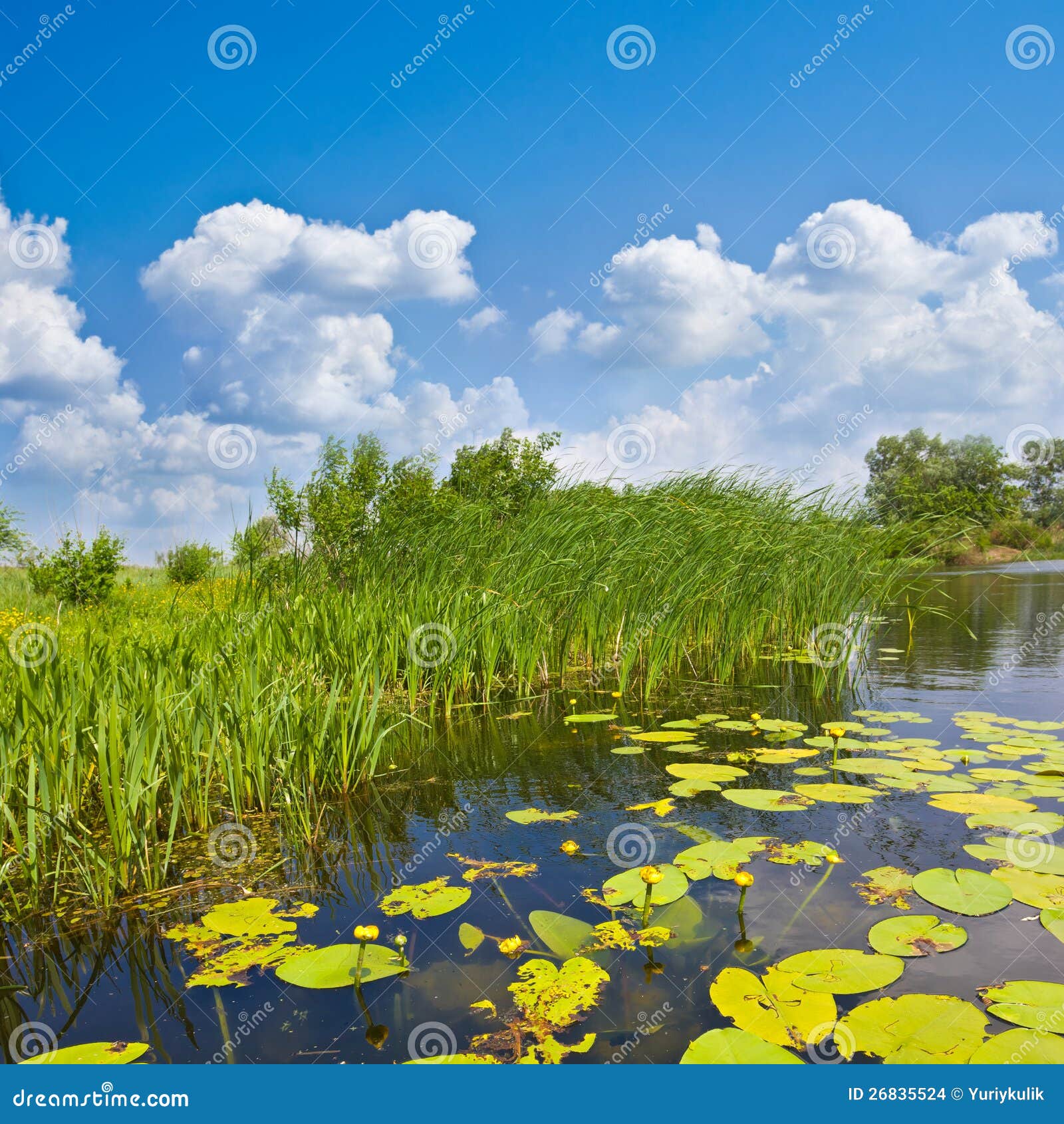 Beautiful summer river stock photo. Image of reflection - 26835524