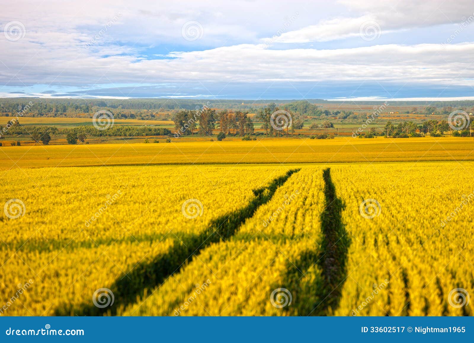Beautiful Summer Rural Landscape Stock Image - Image of cloudy, country ...