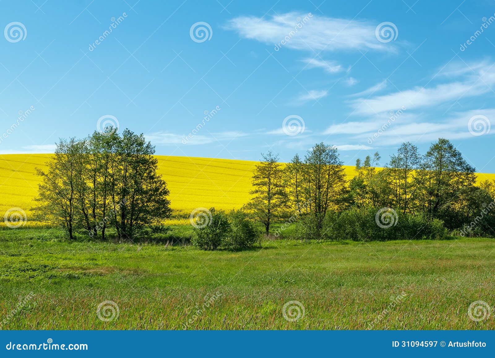 Beautiful Summer Rural Landscape Stock Image - Image of nature ...