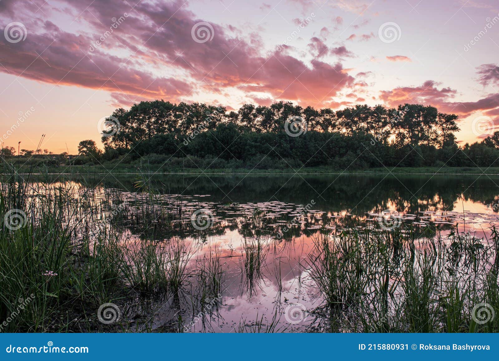 Beautiful summer sunset stock image. Image of outdoor - 215880931
