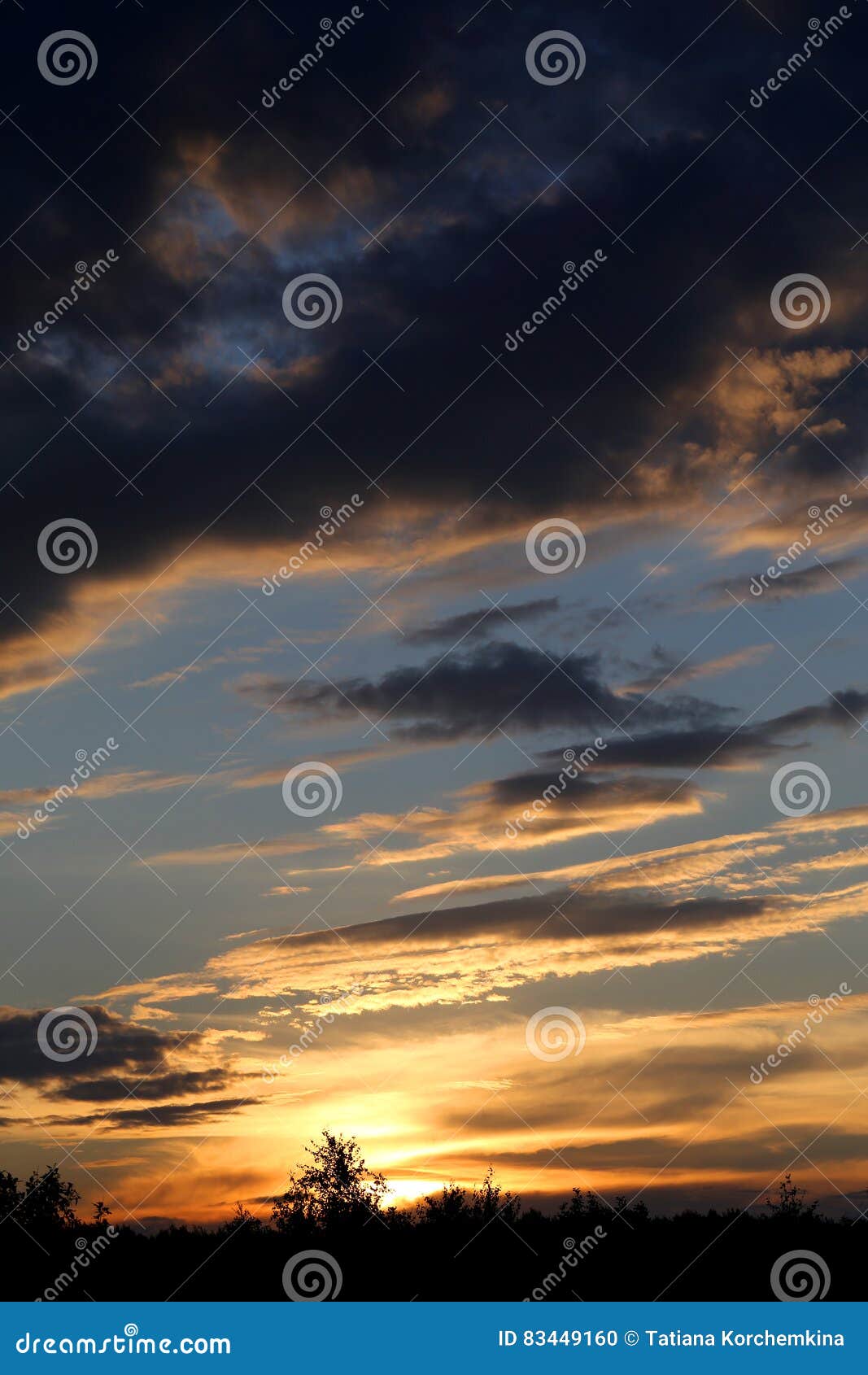 Beautiful summer sunset stock photo. Image of shadow - 83449160