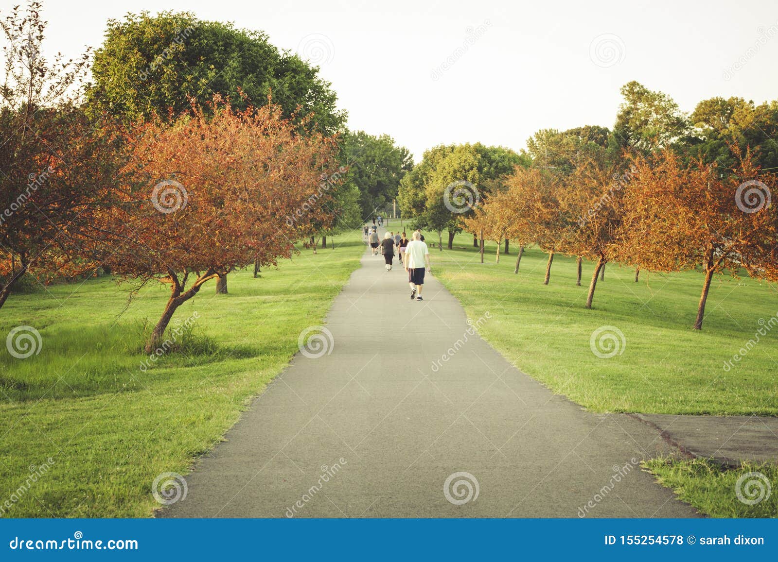 Beautiful Summer Walking Path Jefferson Park Editorial Stock Photo ...