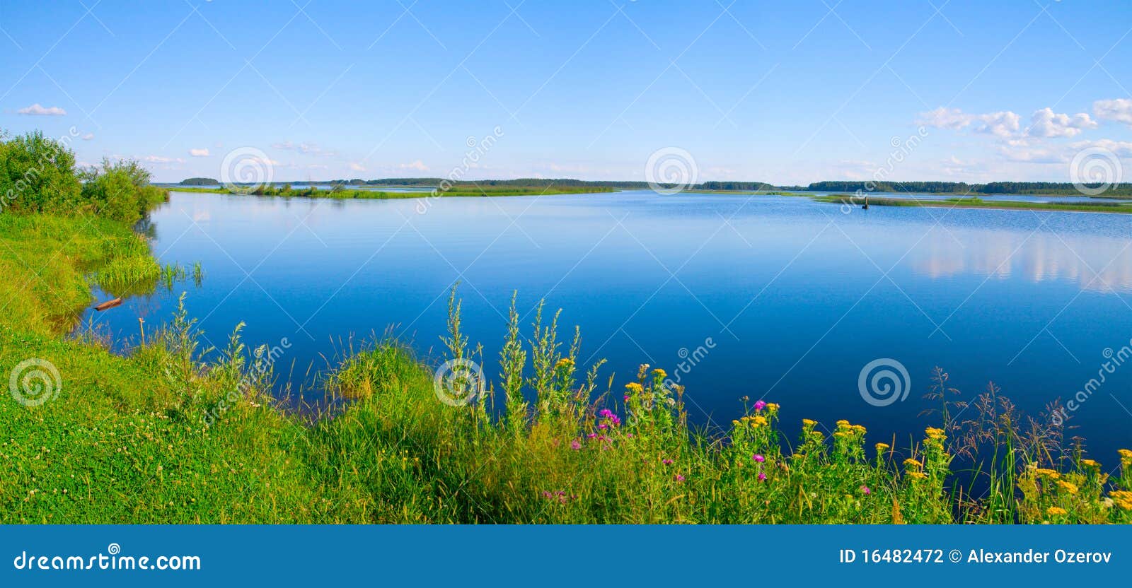 Beautiful Summer Water Landscape Stock Photo - Image of bright, meadow ...