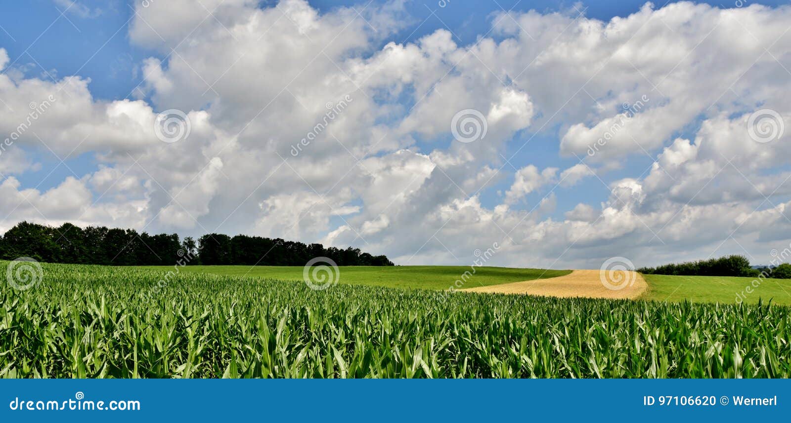 Beautiful Summers Day stock photo. Image of farmland - 97106620