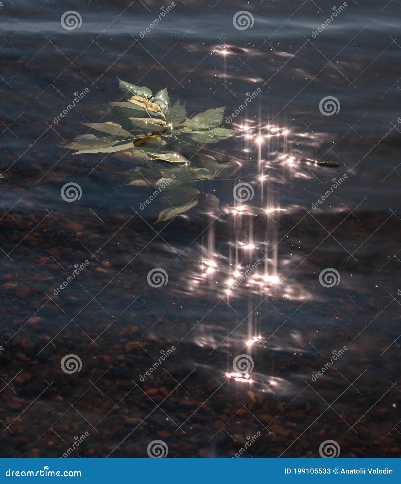 Beautiful Sun Rays are Reflected in the Water. Stock Image - Image of ...