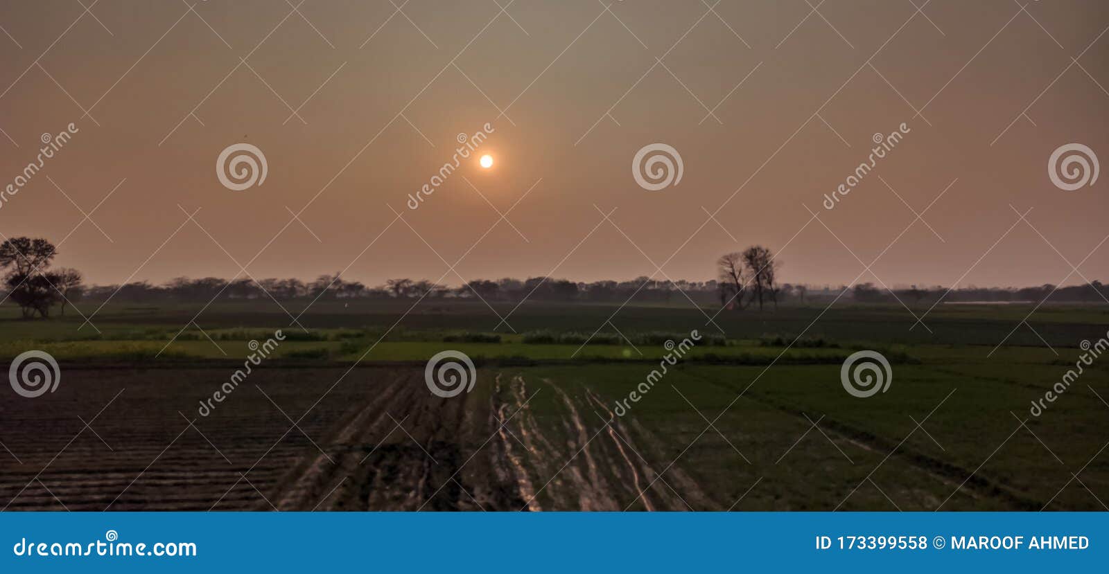 Beautiful Sun Set View on Greeny Land Stock Photo - Image of view ...