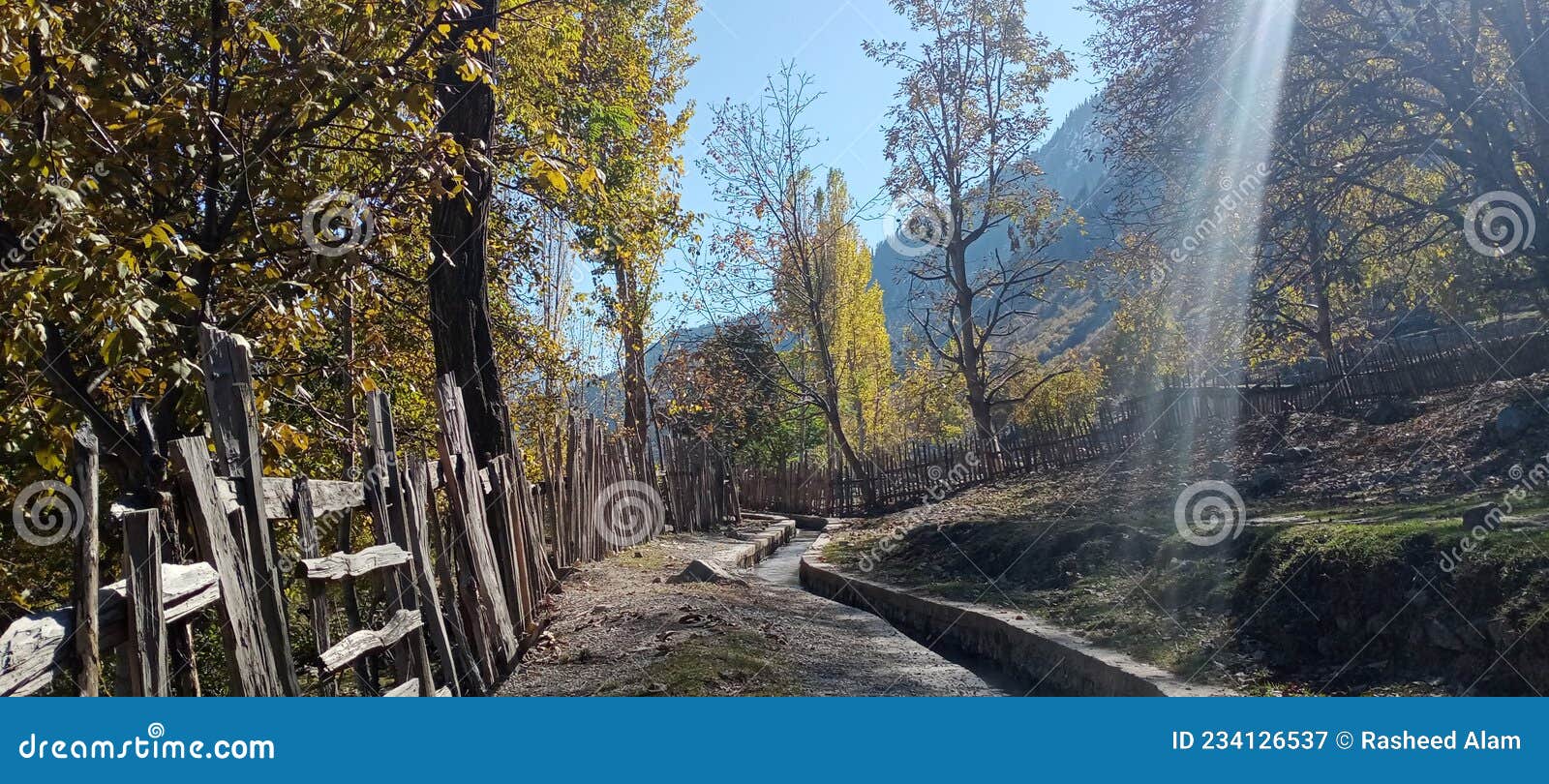 Beautiful Sun Shade in Scenery Stock Image - Image of shade, nature ...