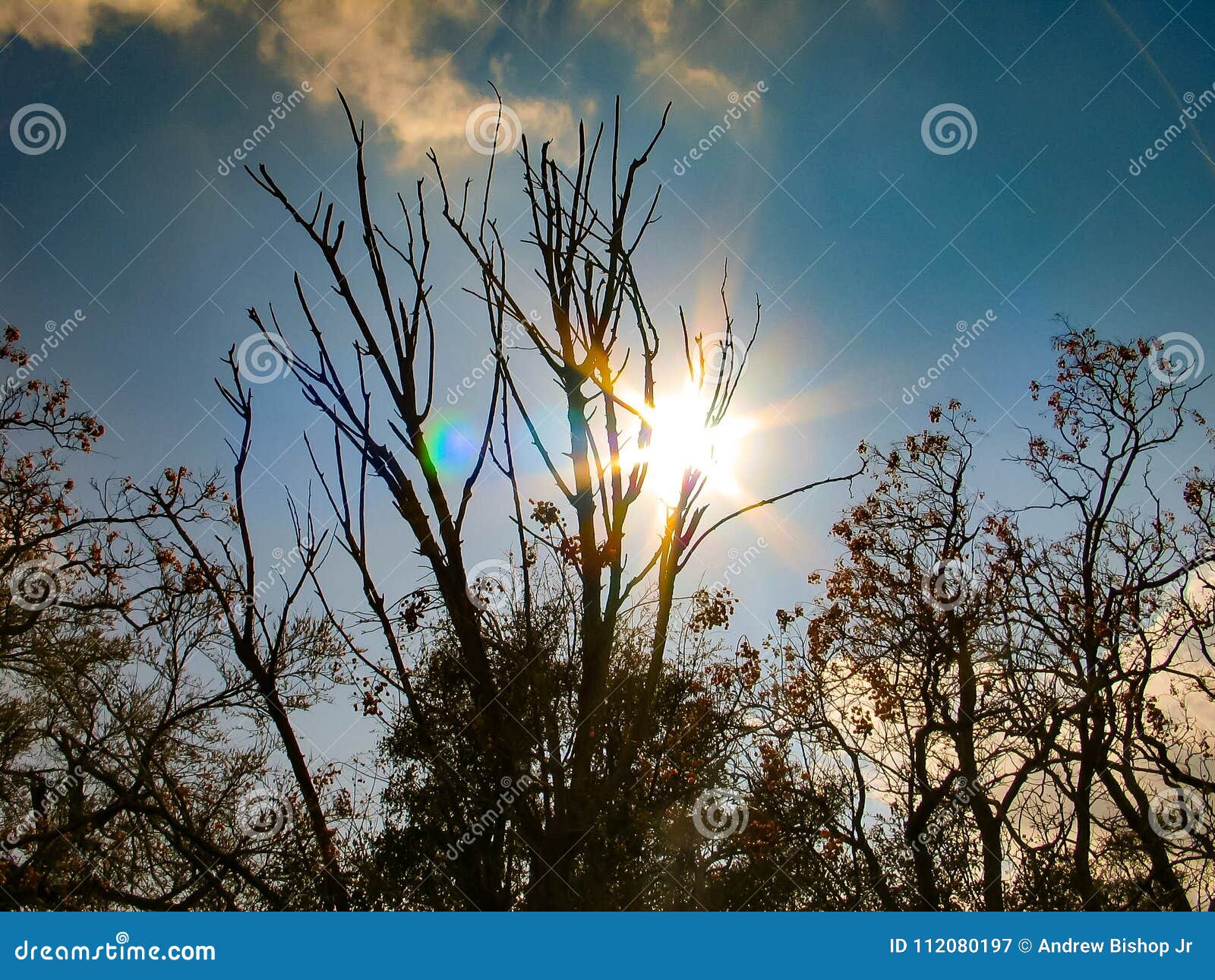 Big Bright Sun stock image. Image of bright, beautiful - 112080197