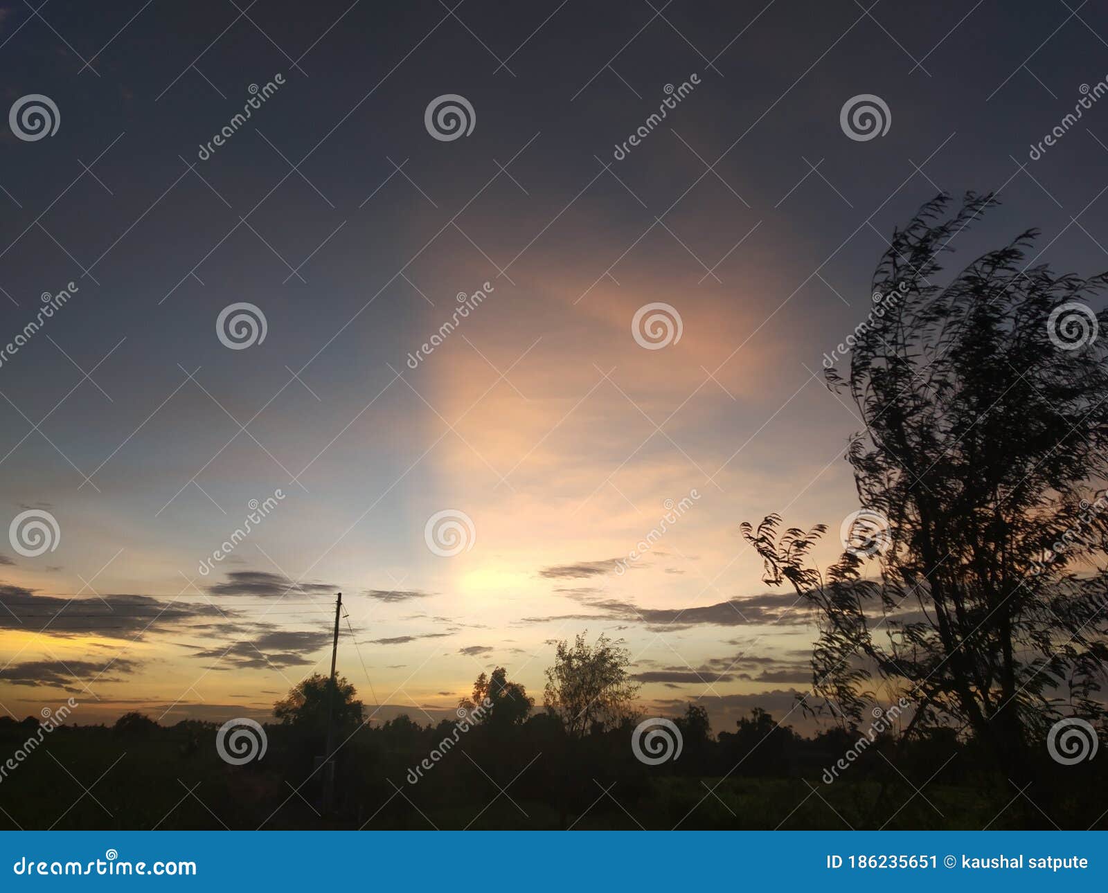 Beautiful Sun View with Tree and Clouds Stock Image - Image of tree ...