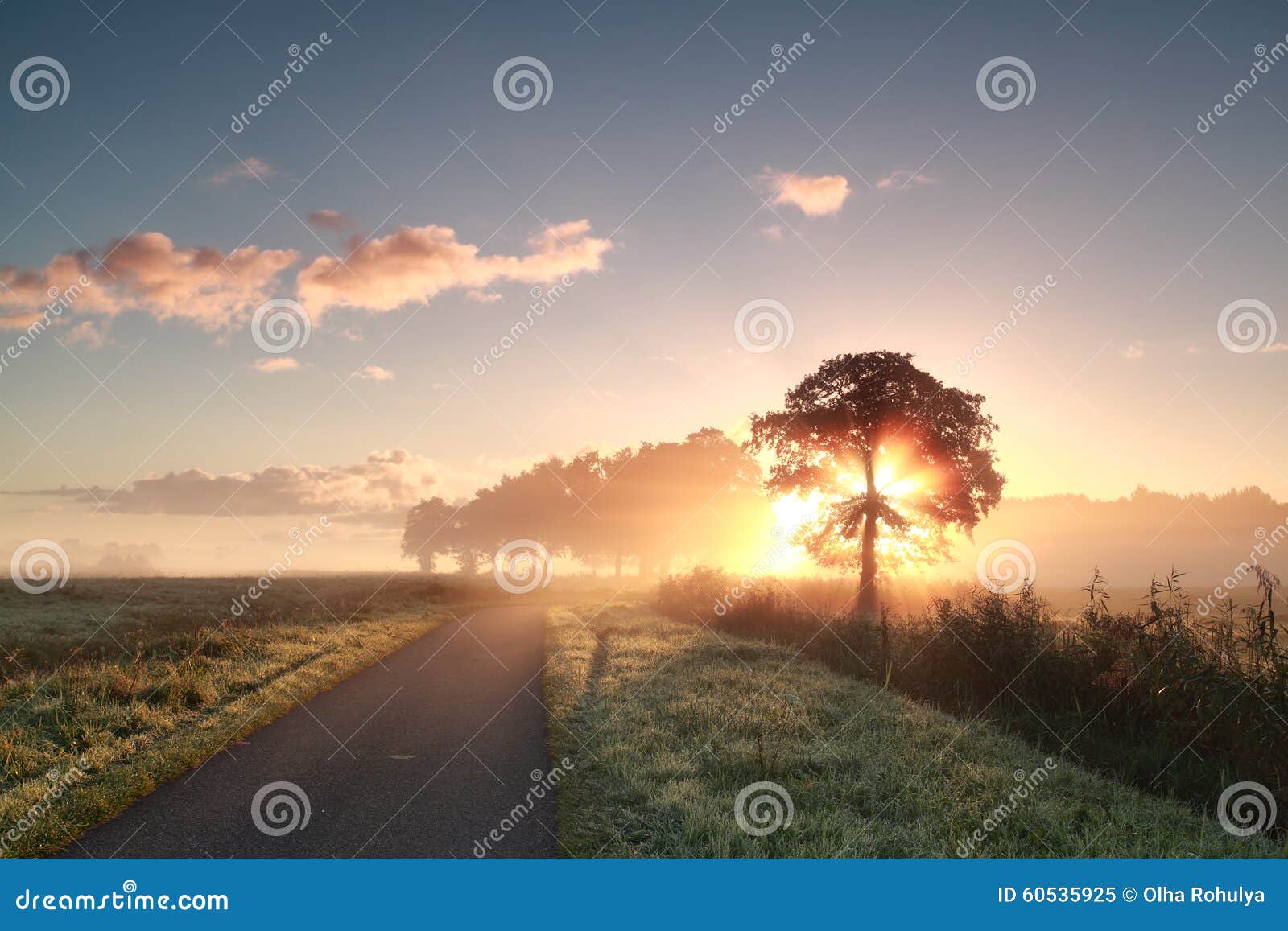 Beautiful Sunbeams Behind Tree by Road Stock Image - Image of outdoors ...