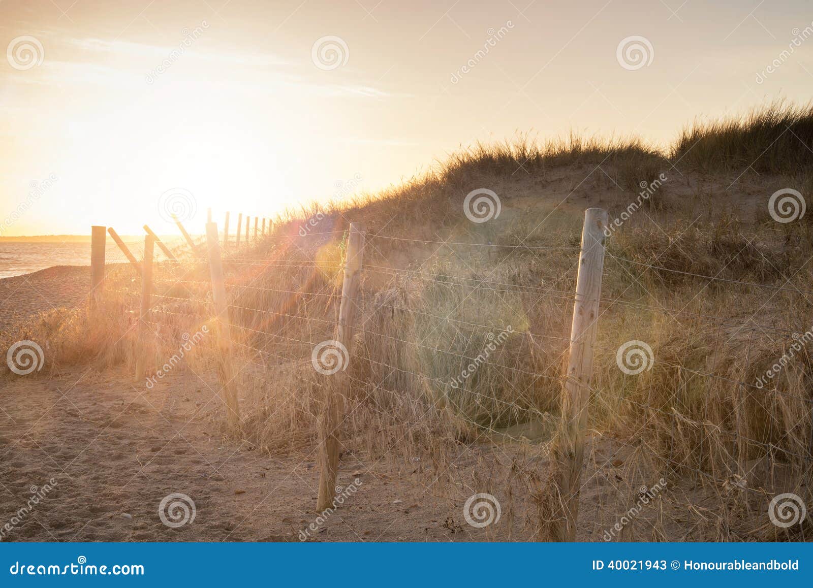 Beautiful Sunlight Landscape with Added Lens Flare Effect Filter Stock ...