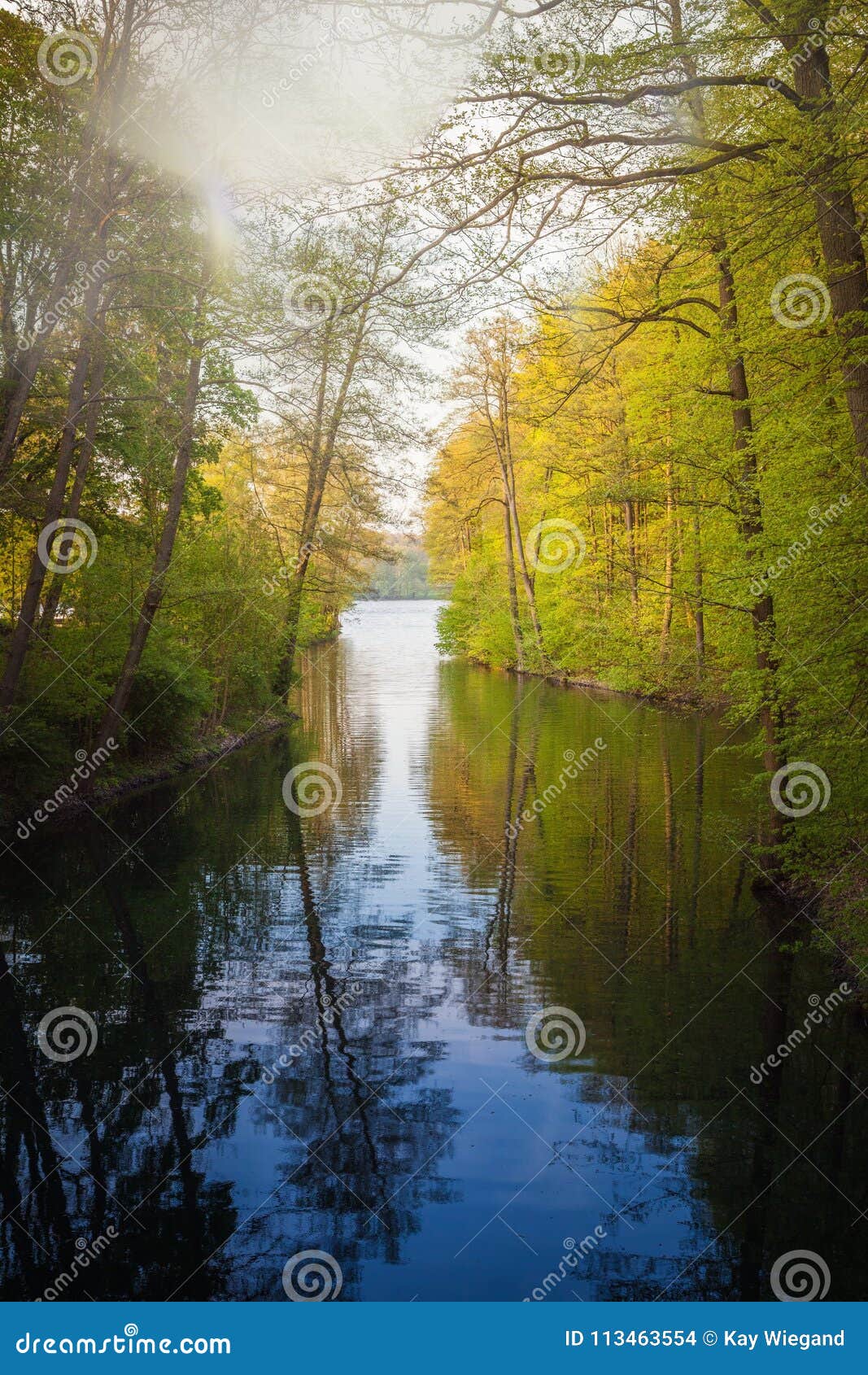 Beautiful Sunlight in Spring during a Forest Walk at the Lake Si Stock ...