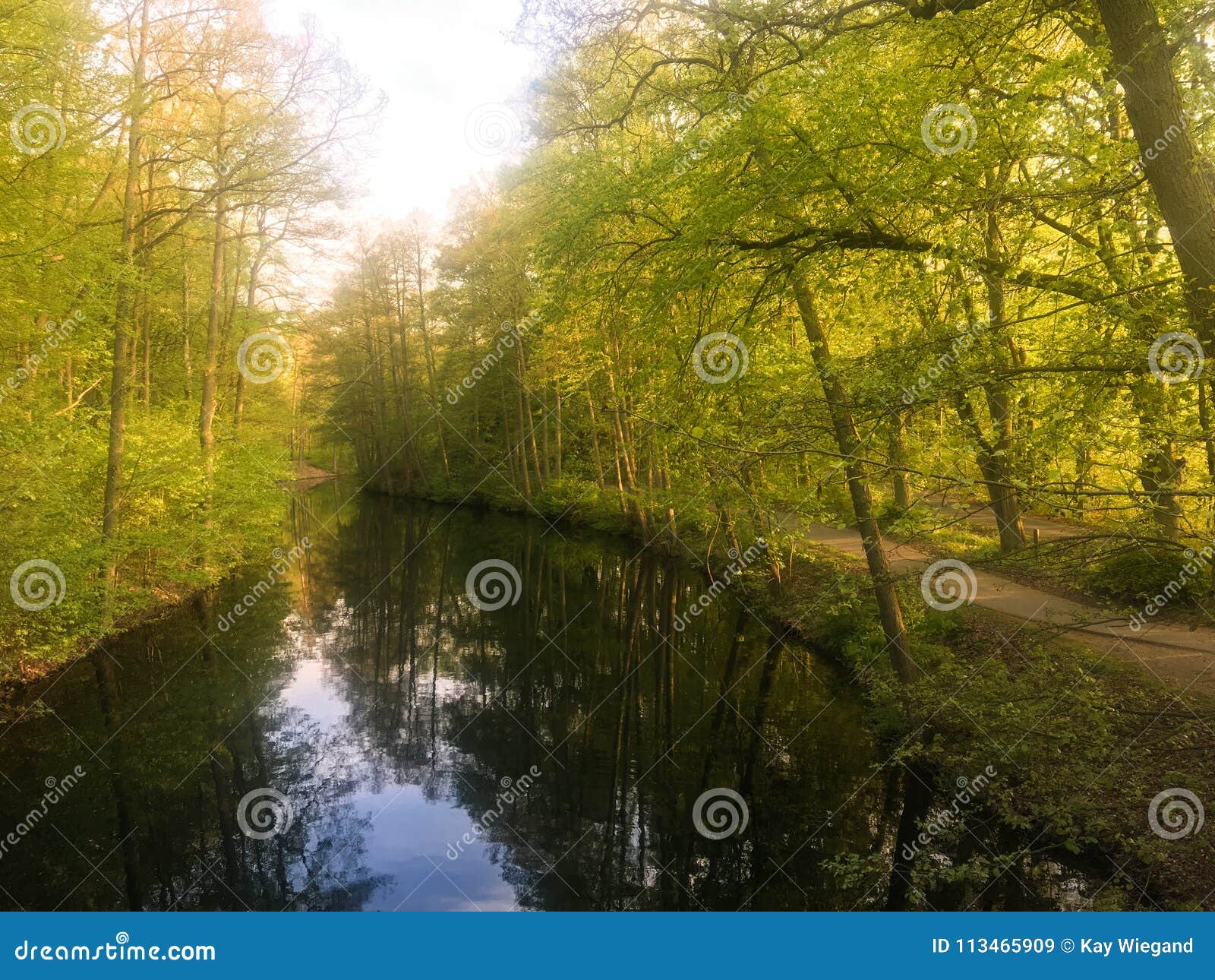 Beautiful Sunlight in Spring during a Forest Walk at the Lake Si Stock ...