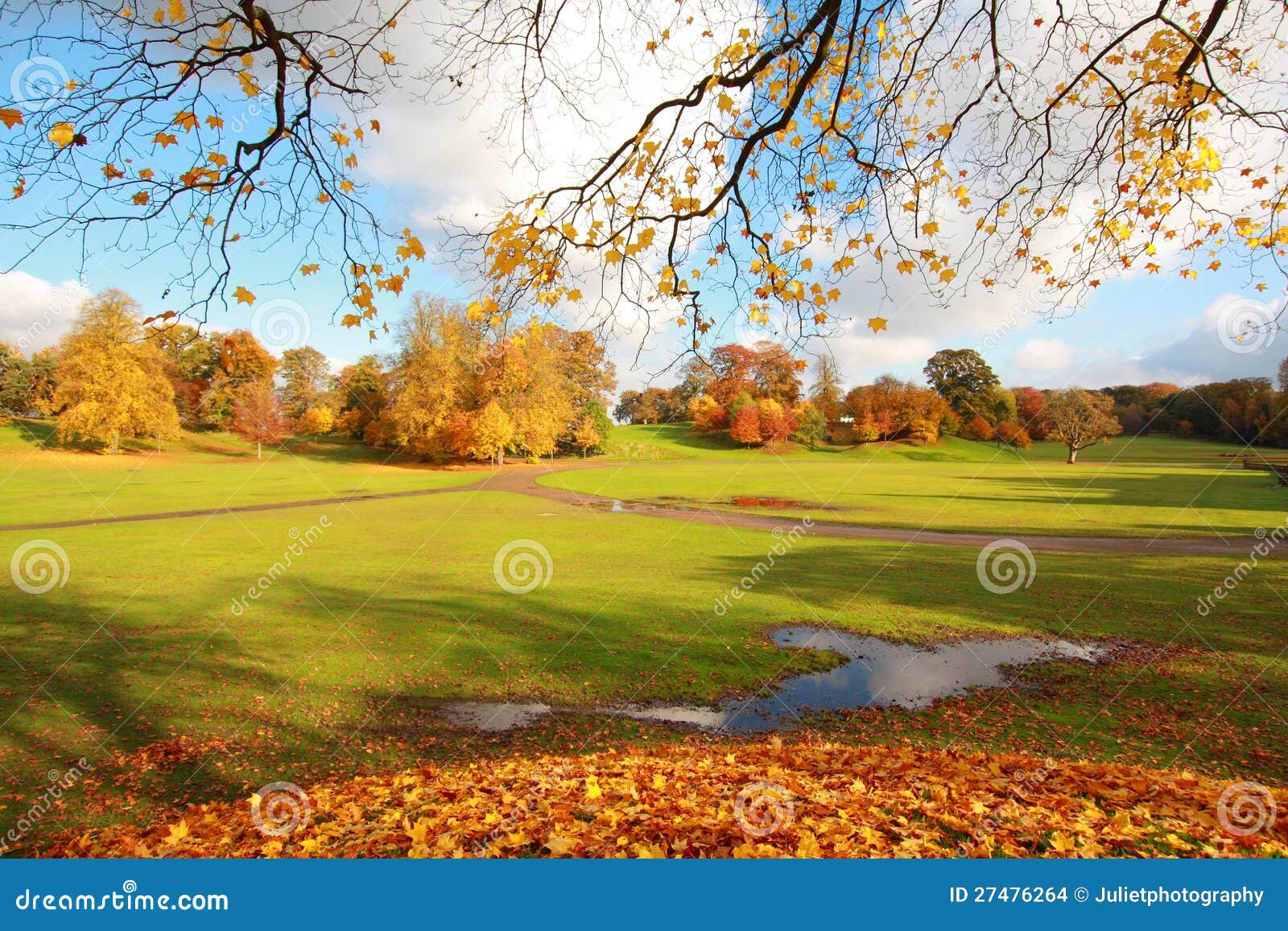 Beautiful, Sunny Autumn in the Park Stock Photo - Image of environment ...