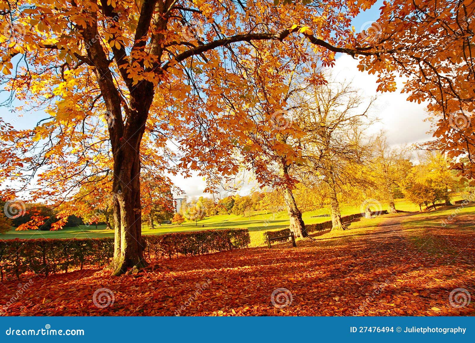 Beautiful, Sunny Autumn in the Park Stock Photo - Image of falkirk ...