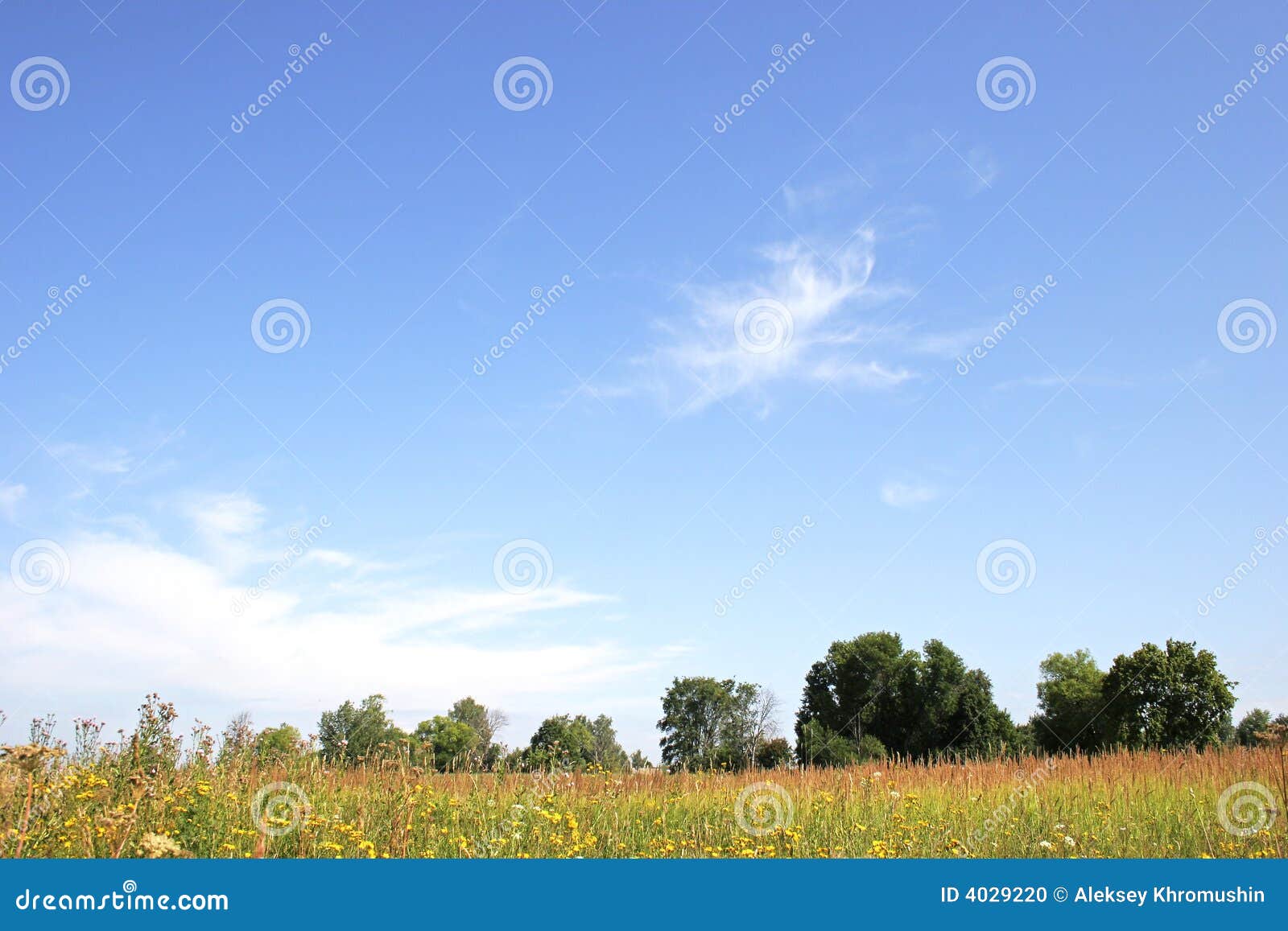Beautiful sunny day stock photo. Image of freedom, environment - 4029220