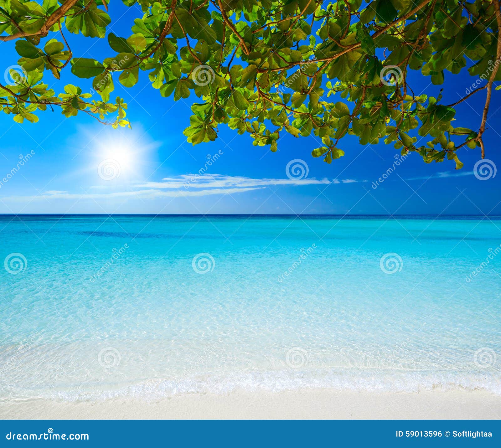 Beautiful Sunny Day on the Beach. Stock Photo - Image of leaves, sunny ...