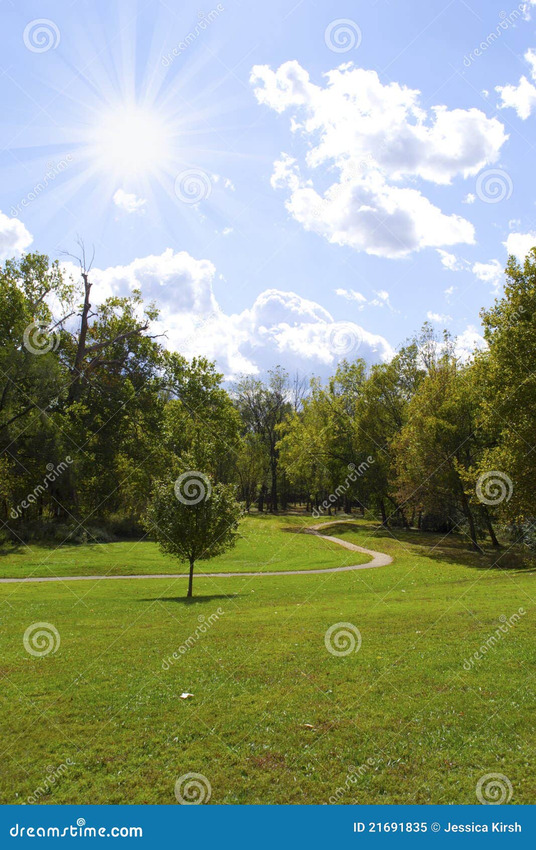 Beautiful, Sunny Day at the Park Stock Image - Image of living, growth ...