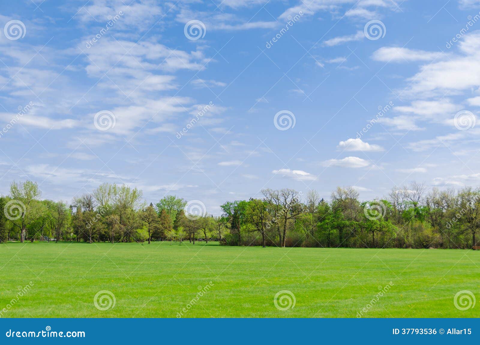 Beautiful Sunny Day in Park at Spring Time Stock Photo - Image of ...
