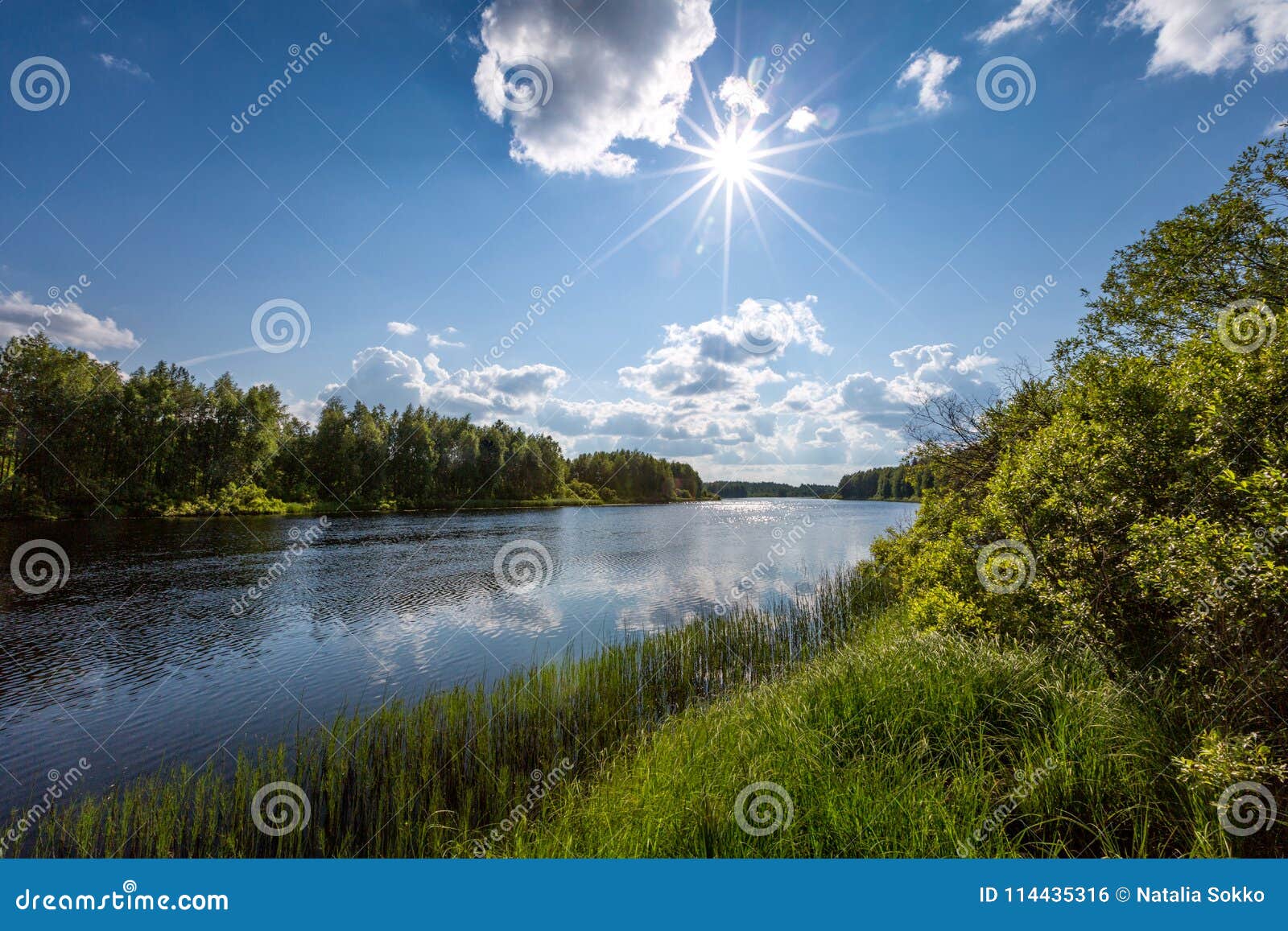 Beautiful Sunny Day on the River Stock Photo - Image of blue, grass ...