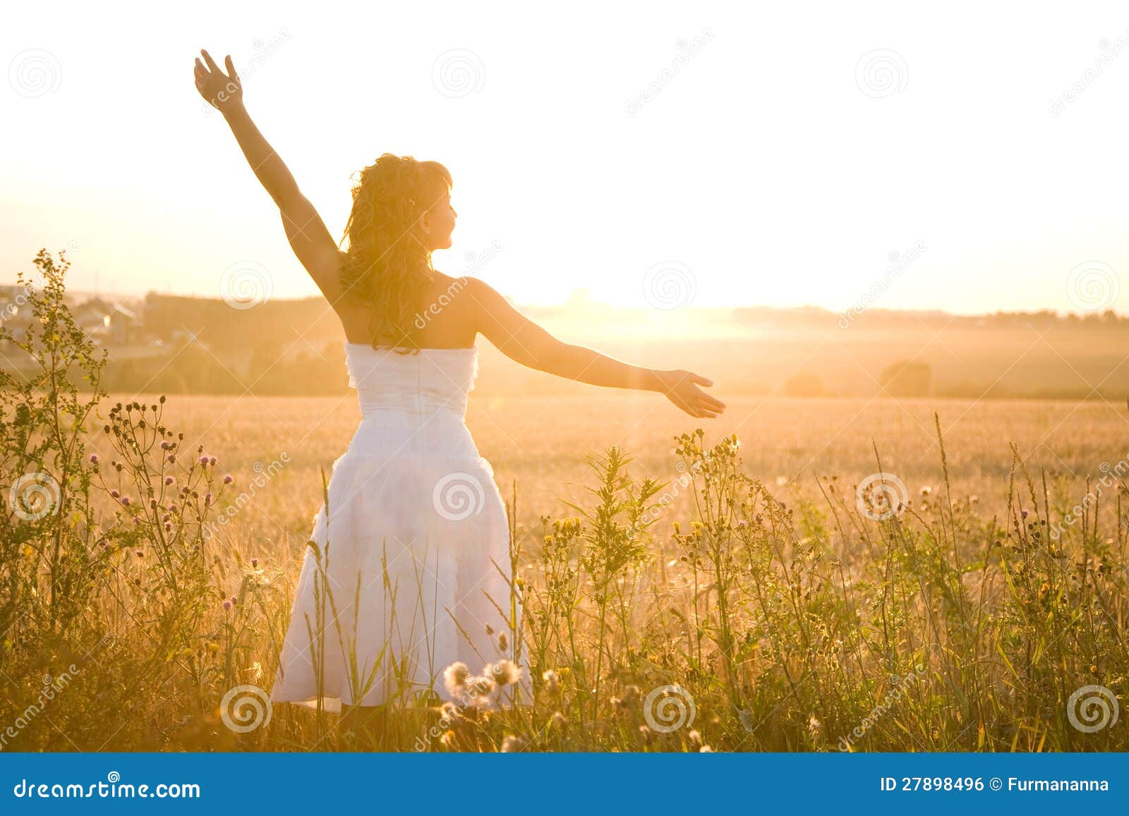 Beautiful sunny evening stock photo. Image of 2025, freshness - 27898496