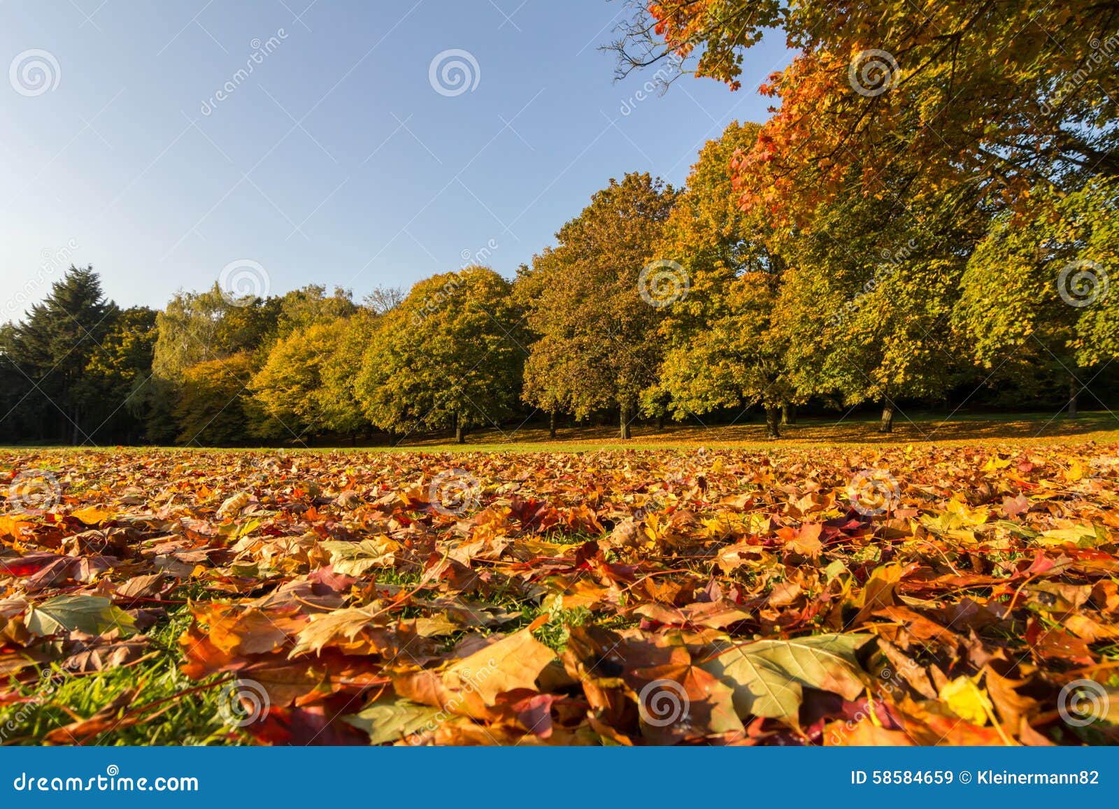 Beautiful sunny landscape stock image. Image of october - 58584659