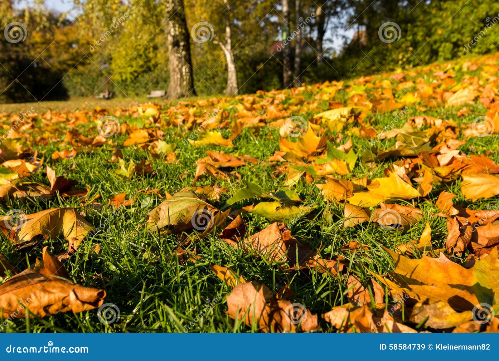 Beautiful sunny landscape stock image. Image of outdoor - 58584739