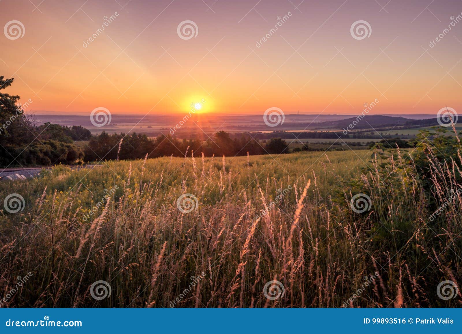 Beautiful sunny morning. stock photo. Image of field - 99893516