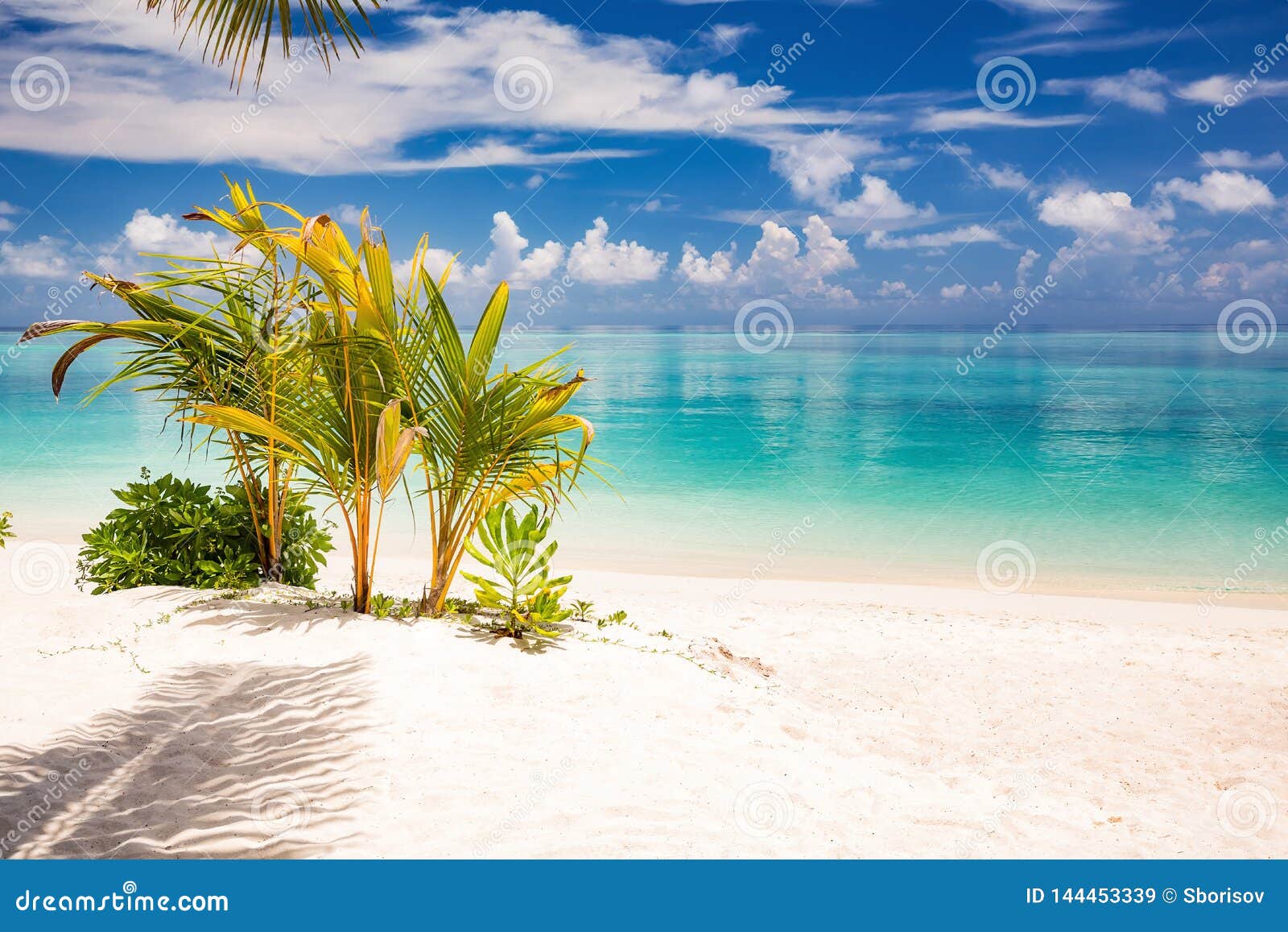 Beautiful Sunny Ocean Beach Stock Image - Image of resort, paradise ...