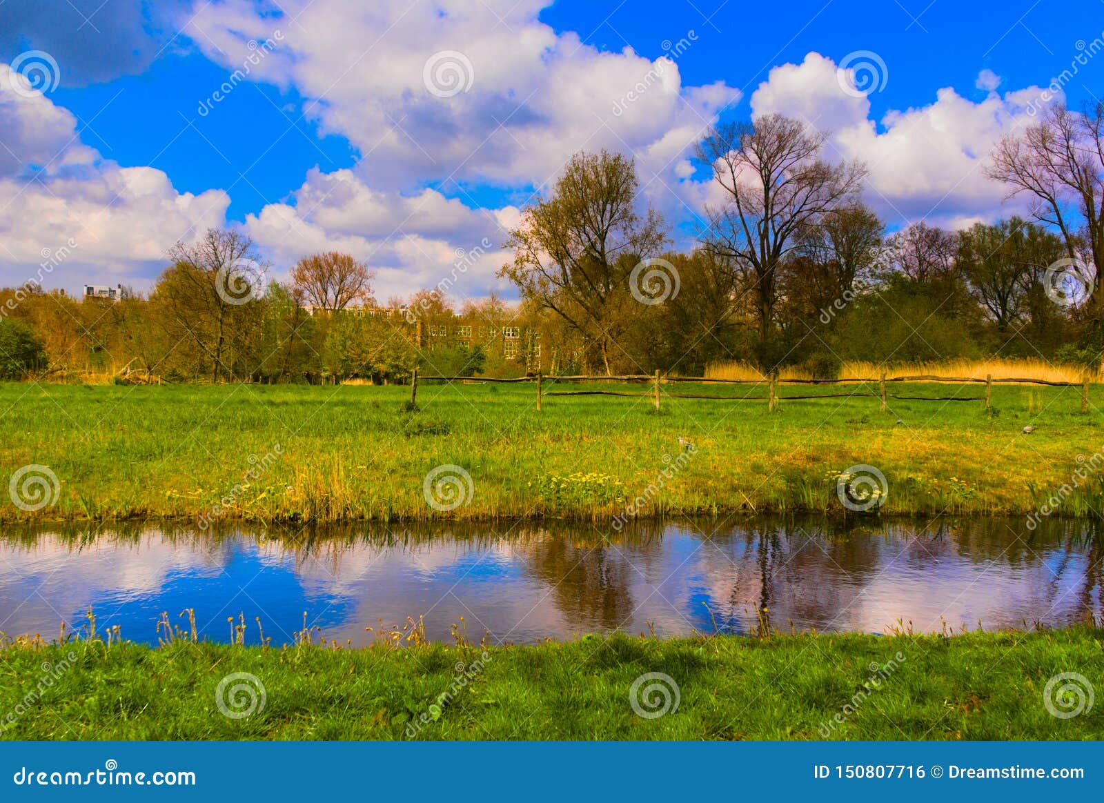 Beautiful sunny summer day stock photo. Image of pond - 150807716